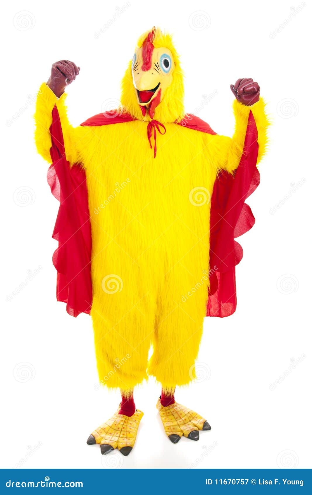 Chicken Power stock image. Image of costume, isolated - 11670757