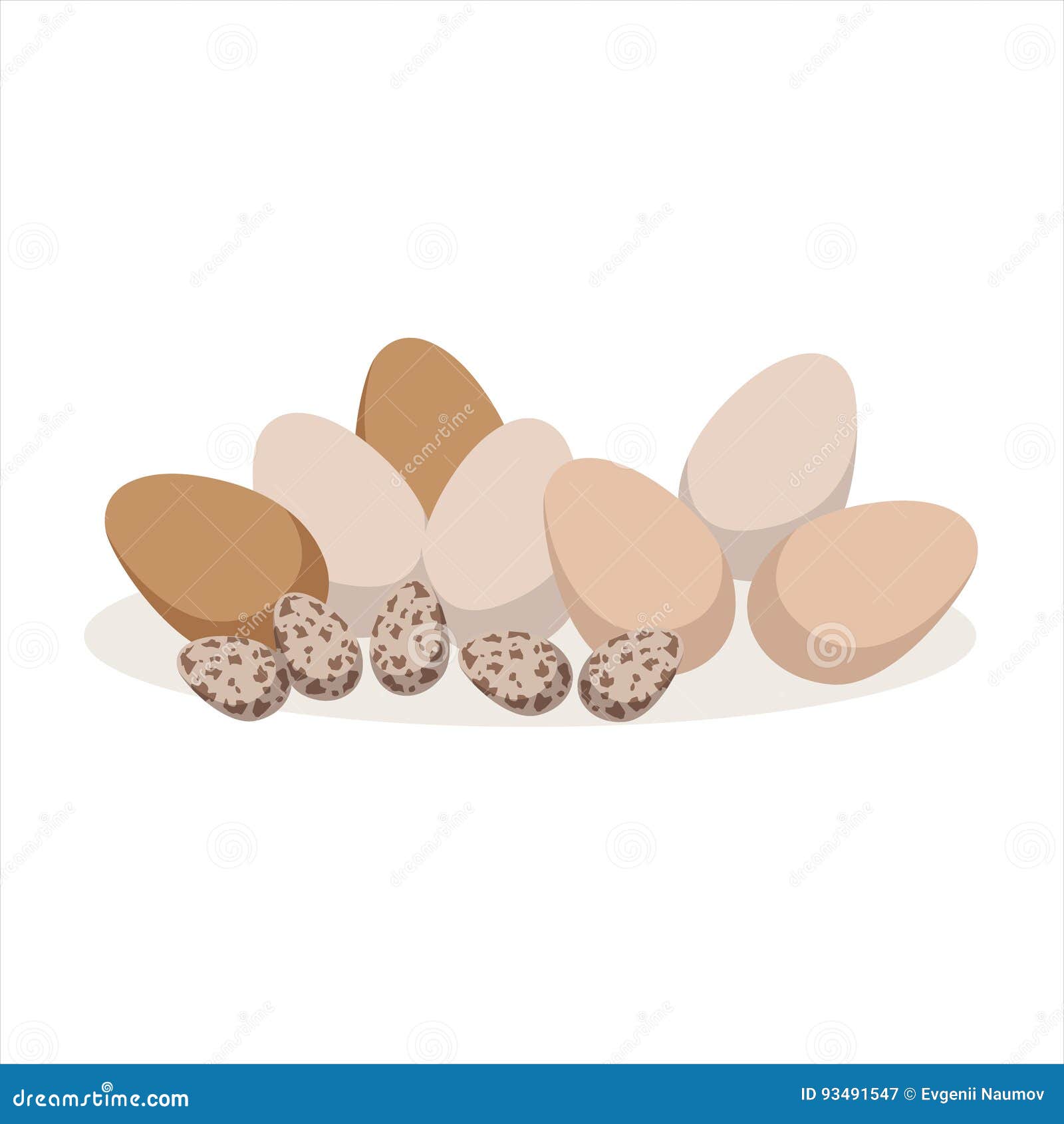 Chicken and Quail Eggs, Baking Ingredient Vector Illustration Stock ...