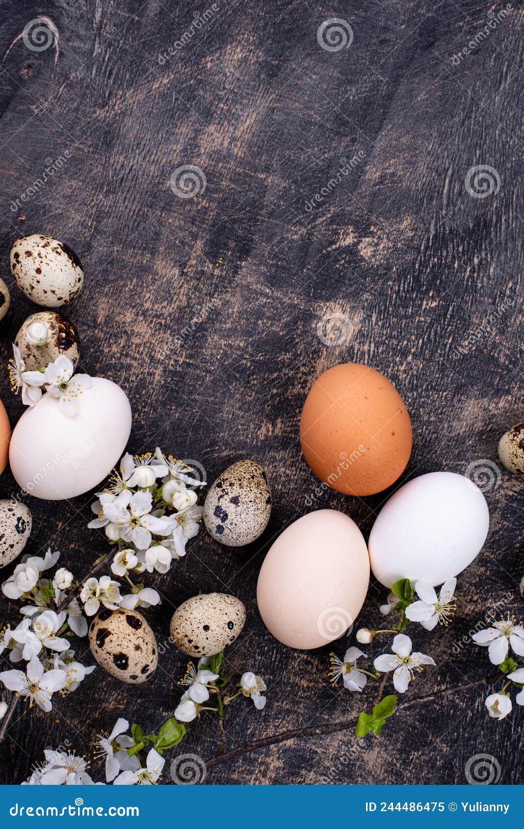 Chicken and Quail Eggs with Blooming Branch Stock Image - Image of ...