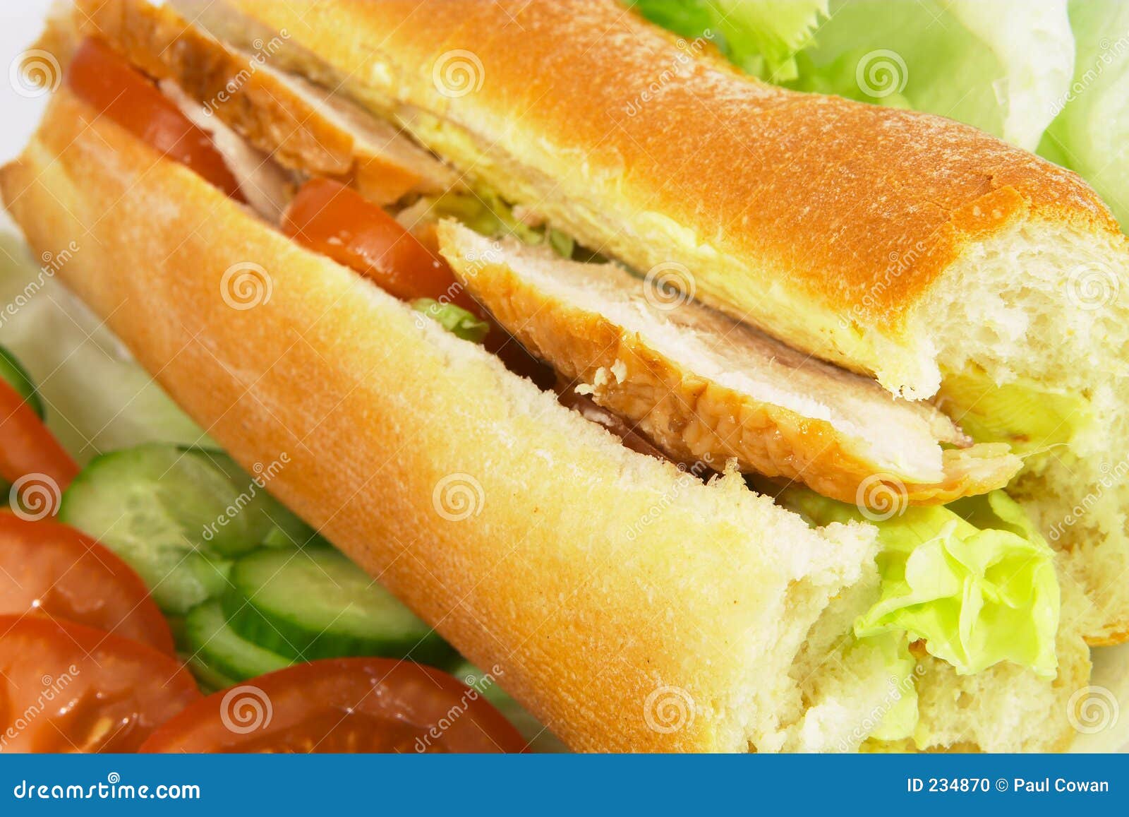 Chicken roll 2 stock photo. Image of cuisine, snack, roll - 234870