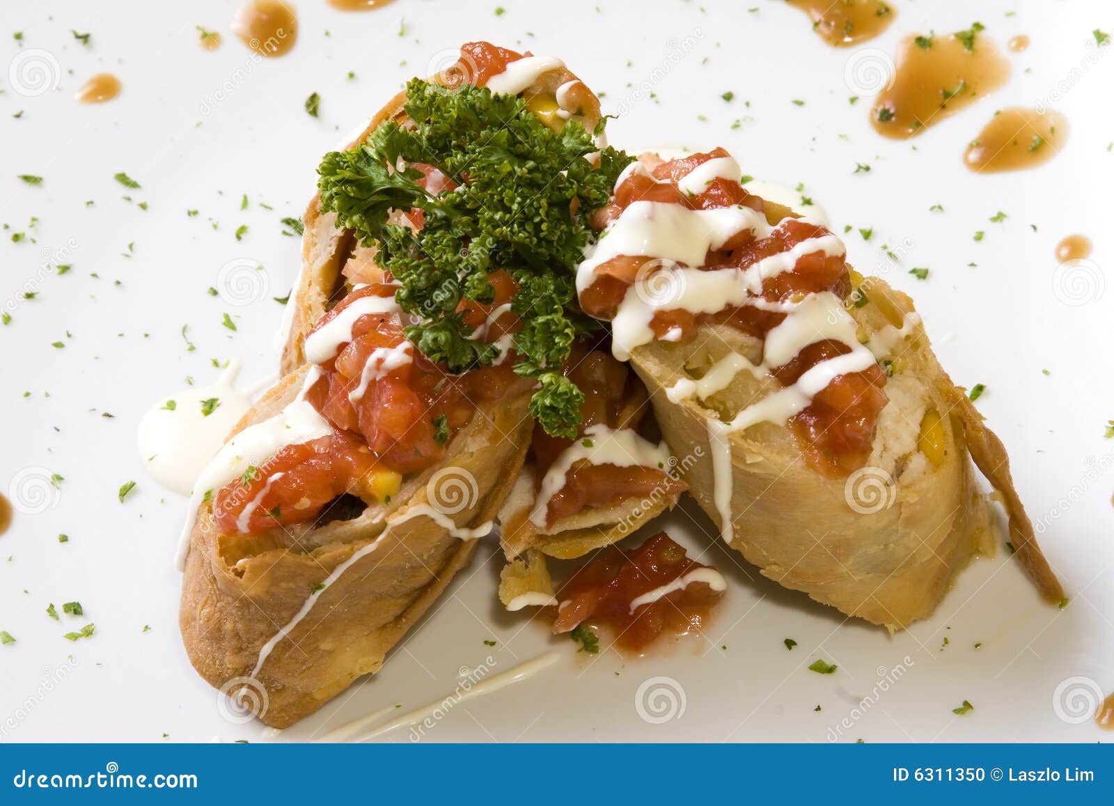 Chicken roll stock photo. Image of colors, meal, crispy - 6311350