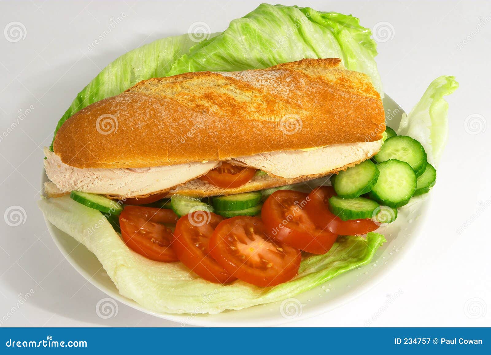 Chicken salad roll stock image. Image of lettuce, sandwich - 234757