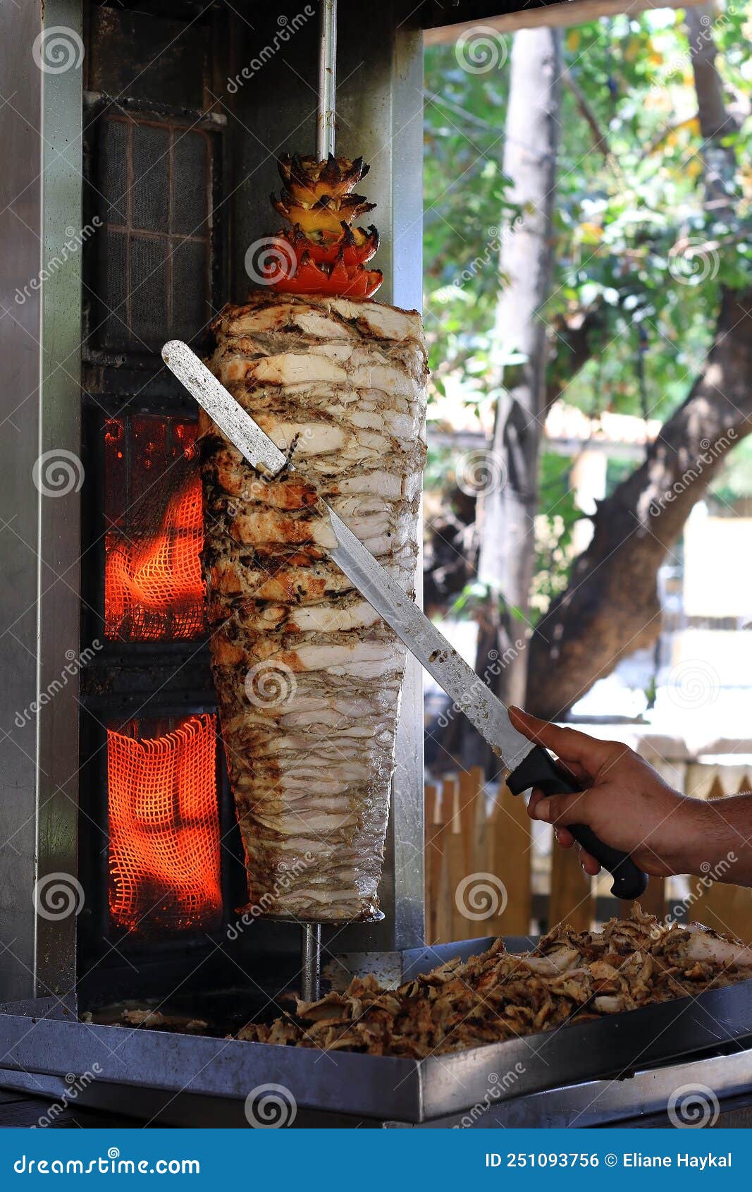 Shawarma Skewer stock photo. Image of chicken, lebanese - 251093756