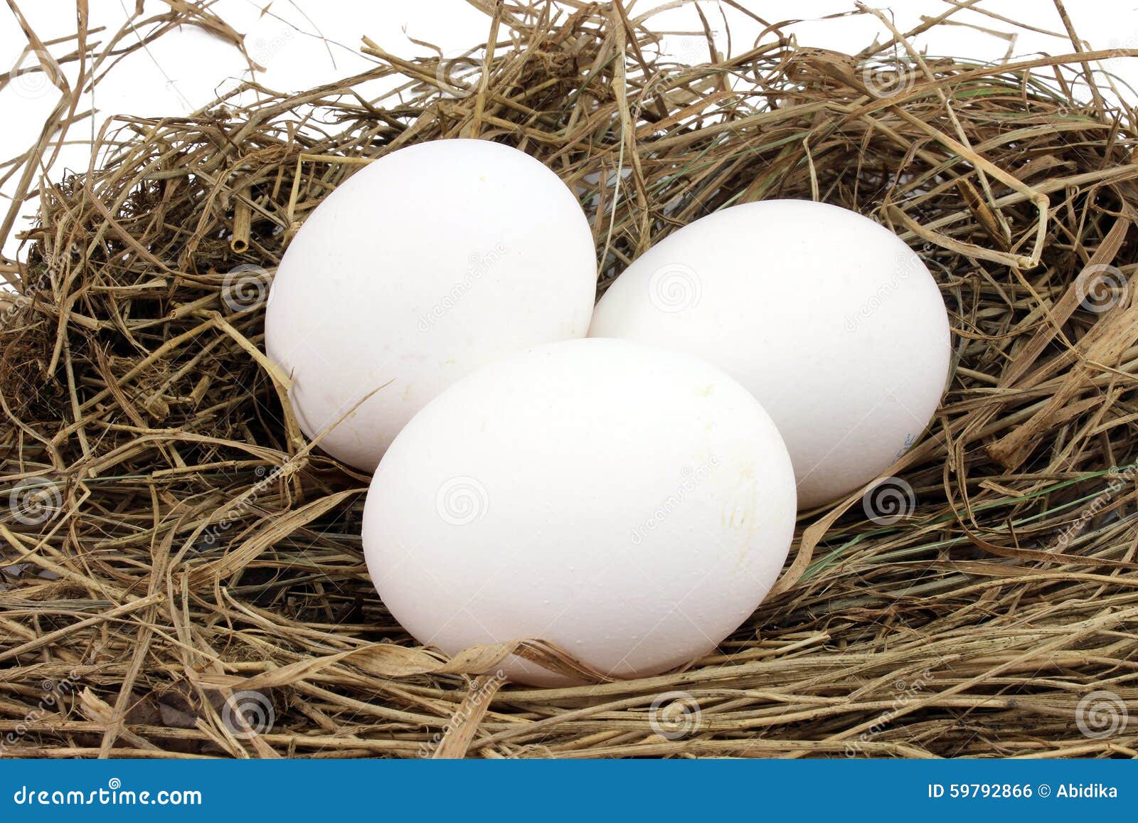 Chicken slot stock photo. Image of diet, closeup, cholesterol - 59792866