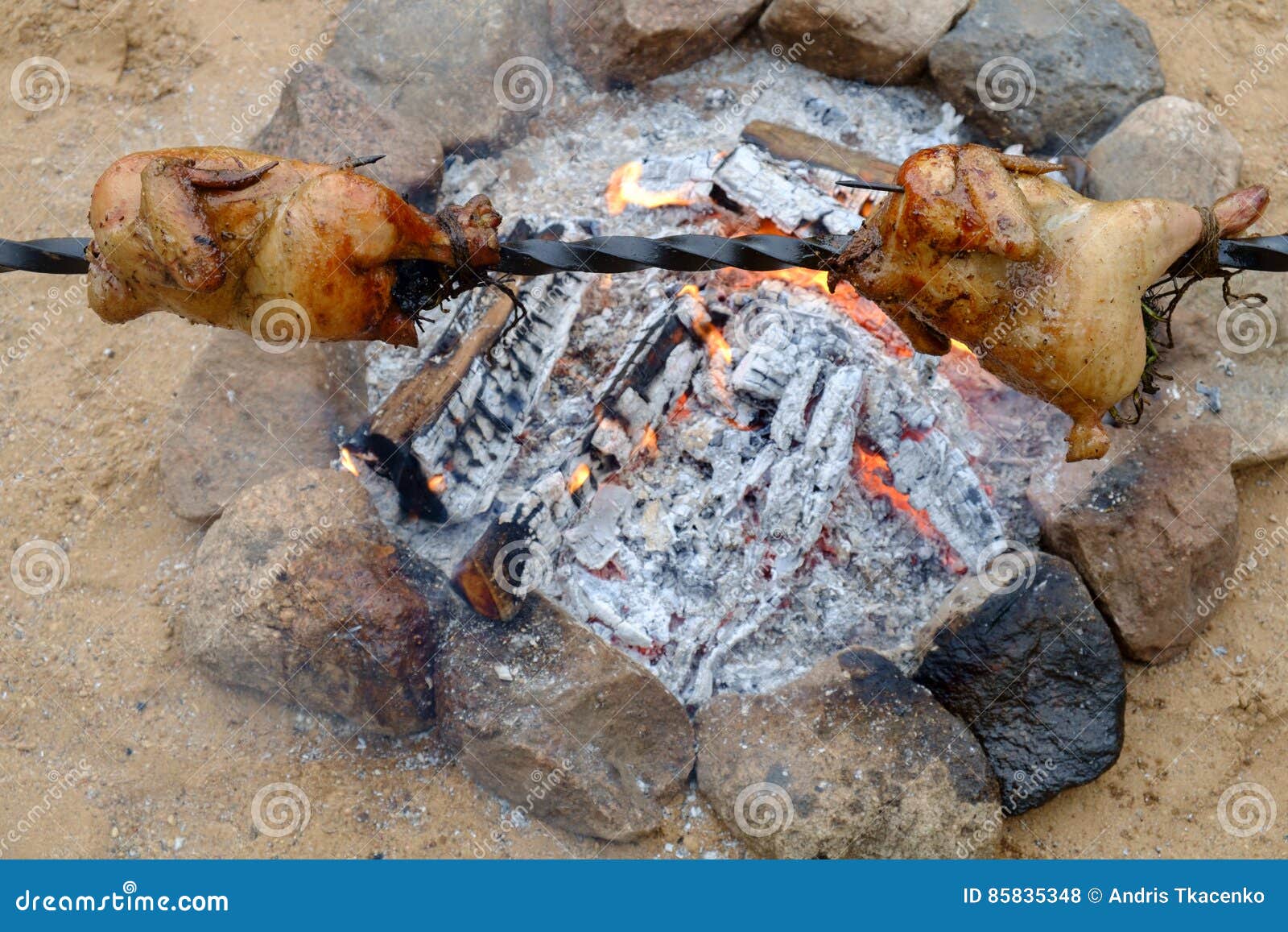 Chicken on a spit stock photo. Image of grilled, delicious - 85835348