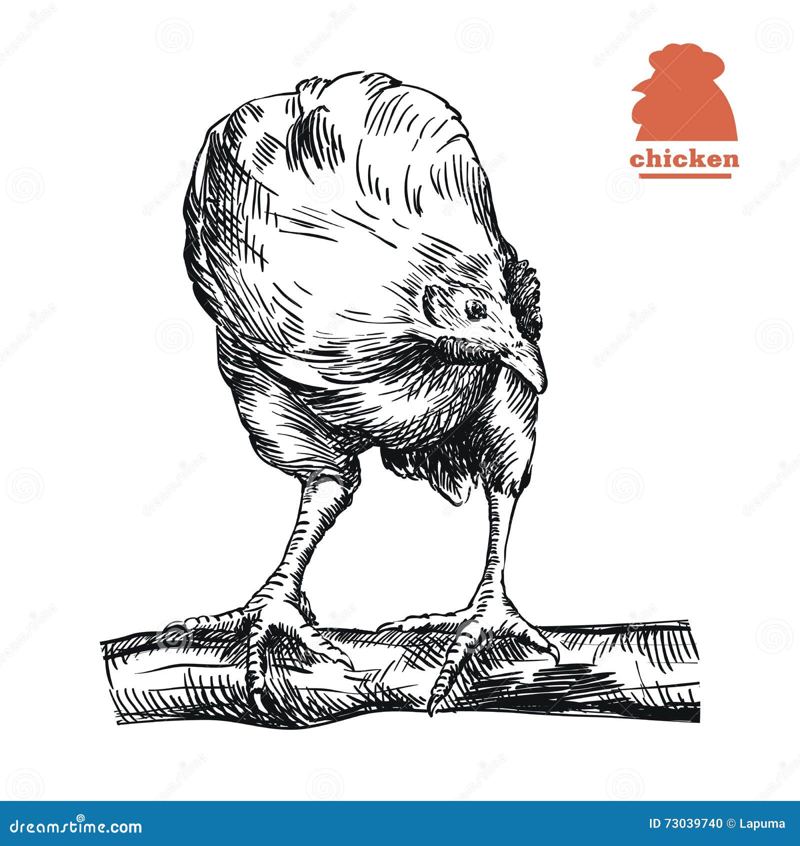 Chicken Standing on the Perch Stock Vector - Illustration of doodle ...