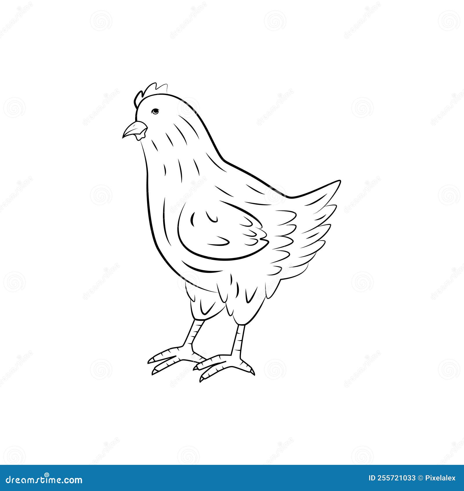 Chicken Standing Side View, Hand Drawn Illustration Stock Vector ...