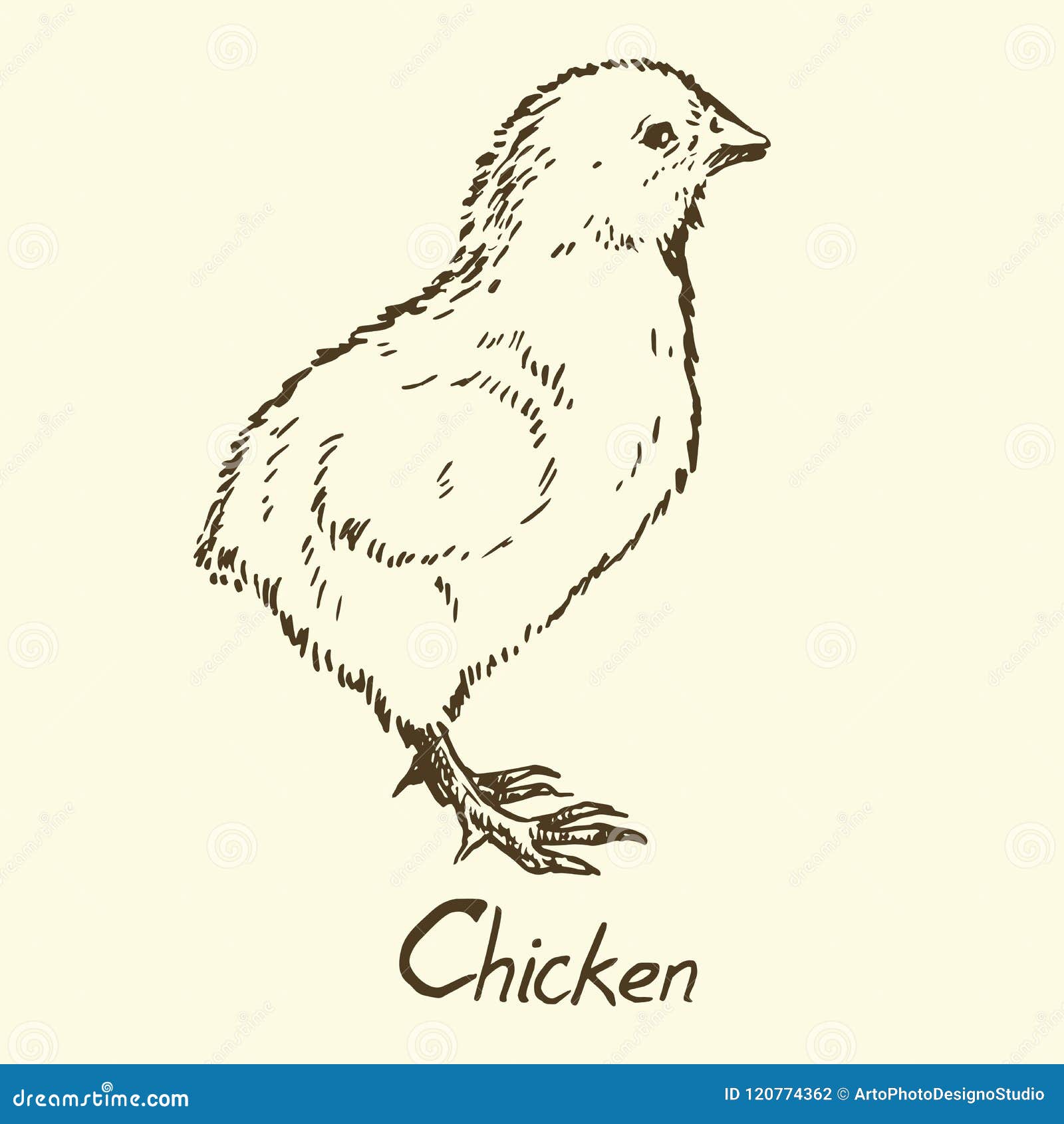 Chicken Standing, Sketch in Pop Art Style Stock Vector - Illustration ...