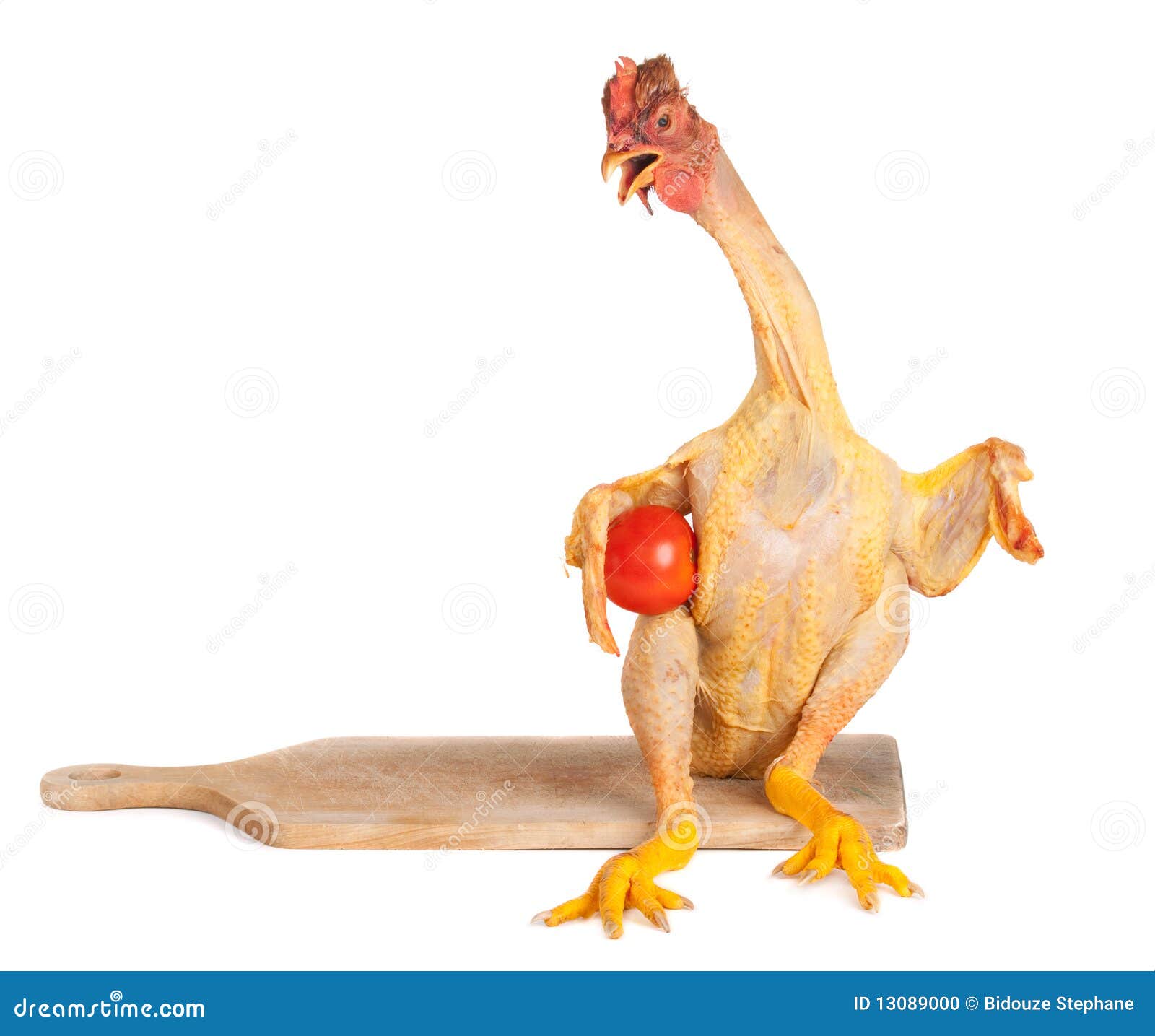 Chicken standing on white stock photo. Image of market - 13089000