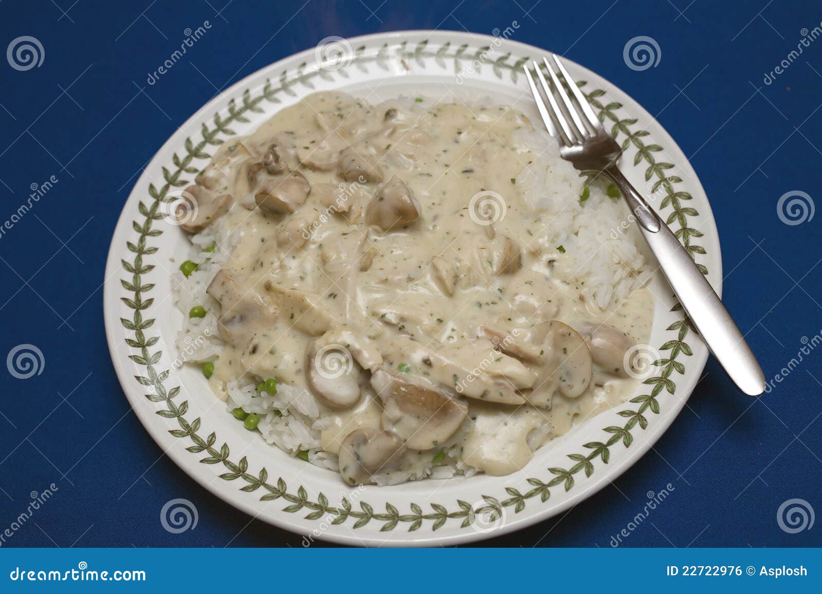 Chicken Supreme stock photo. Image of plate, rice, breast - 22722976