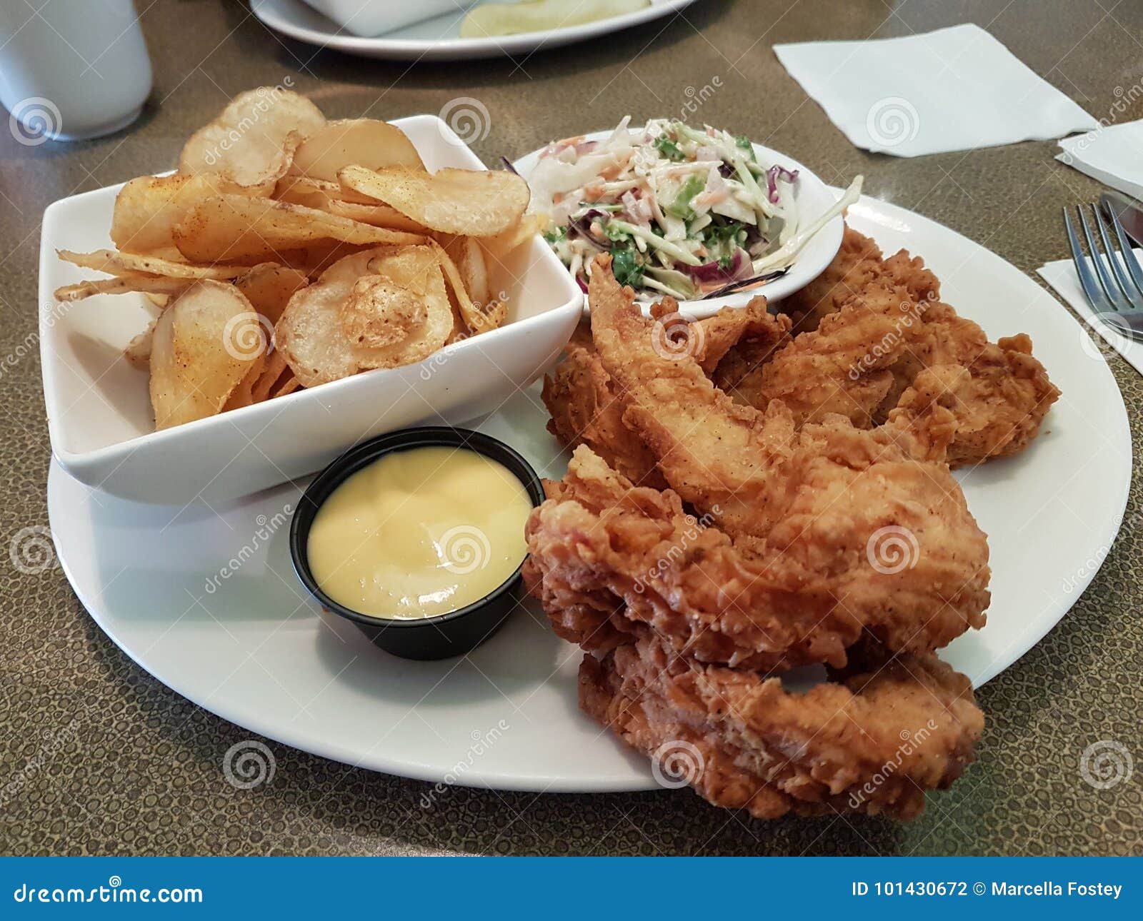 Chicken tenders stock photo. Image of tumbleweeds, eating - 101430672