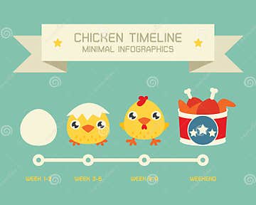 Chicken Timeline stock vector. Illustration of lunch - 37171455