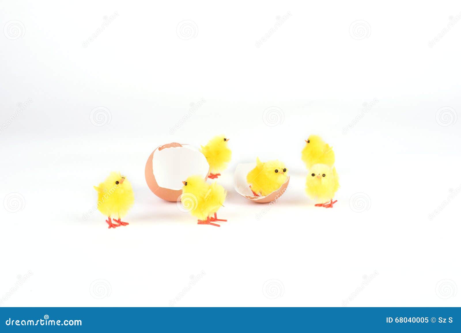 Chicken Toy and Egg Shell Isolated on White Stock Image - Image of eggs ...