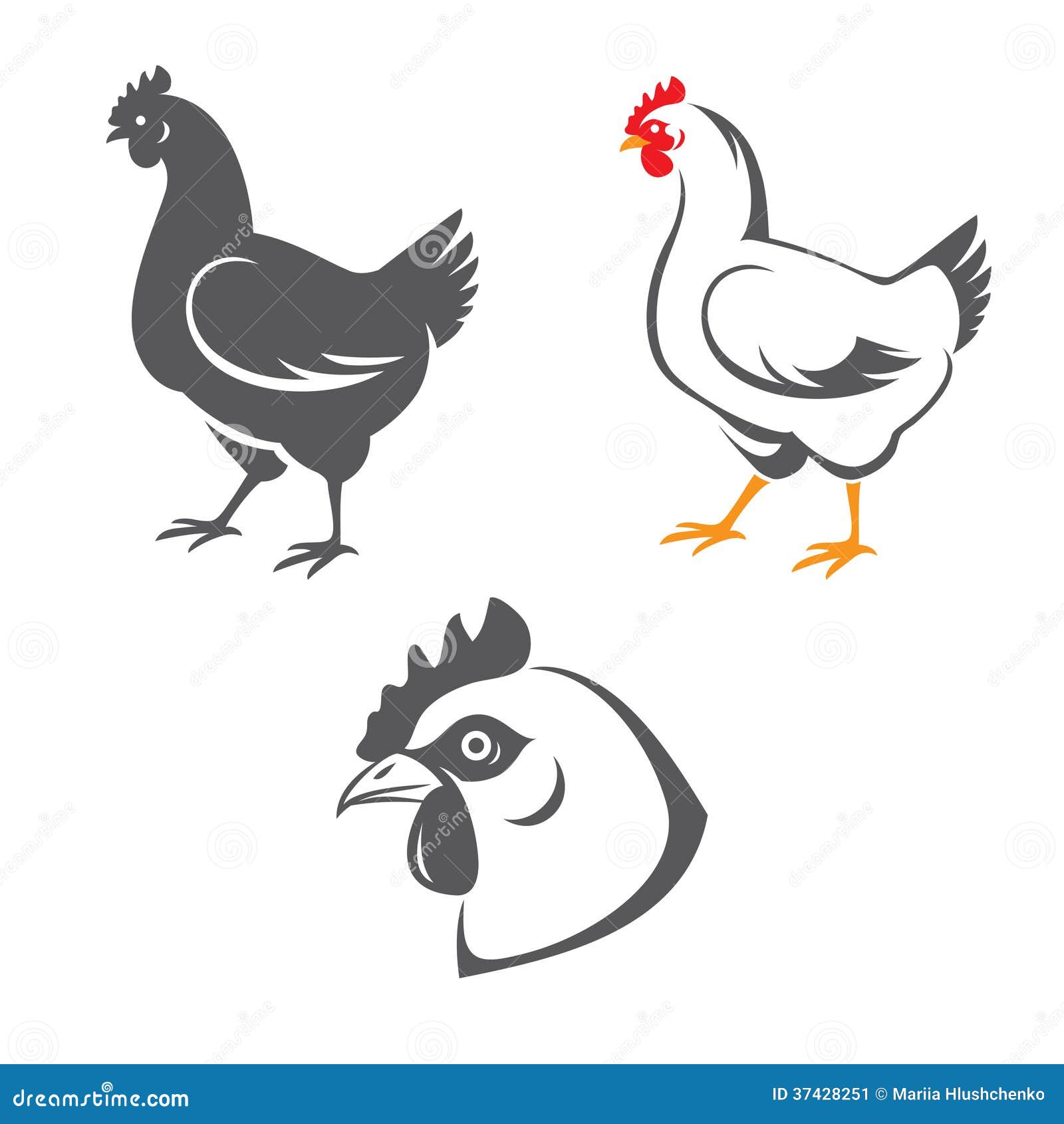 Chicken stock vector. Illustration of isolated, rural - 37428251