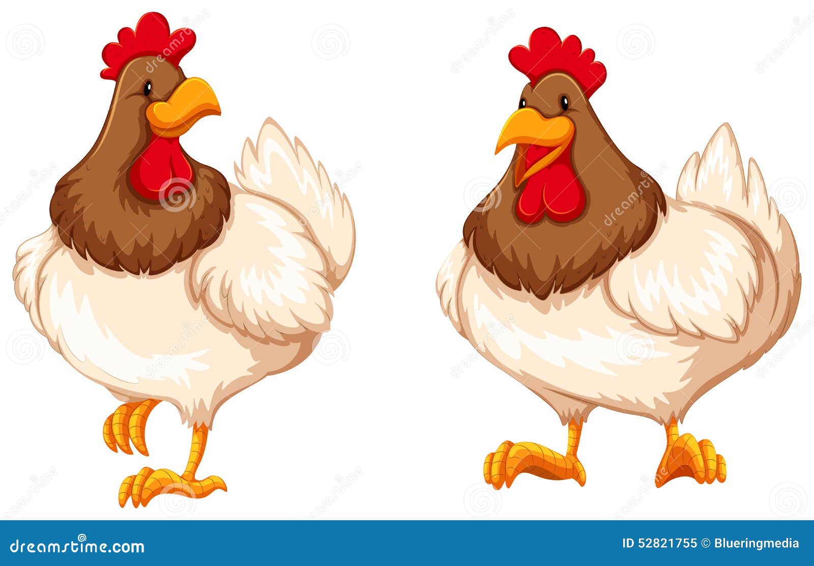 Chicken stock illustration. Illustration of feather, rooster - 52821755