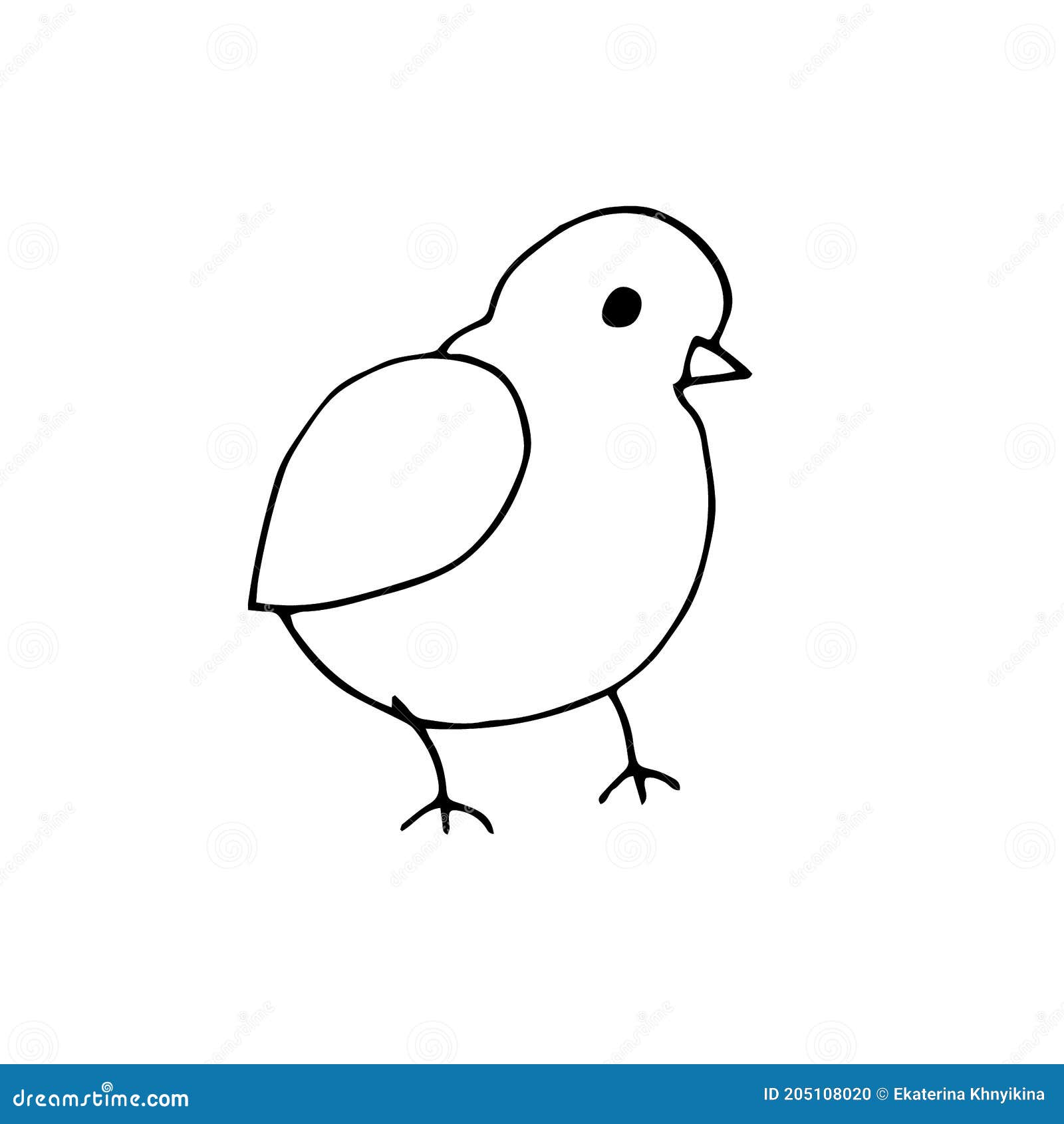 Chicken, Vector Illustration, Hand Drawing Stock Illustration ...