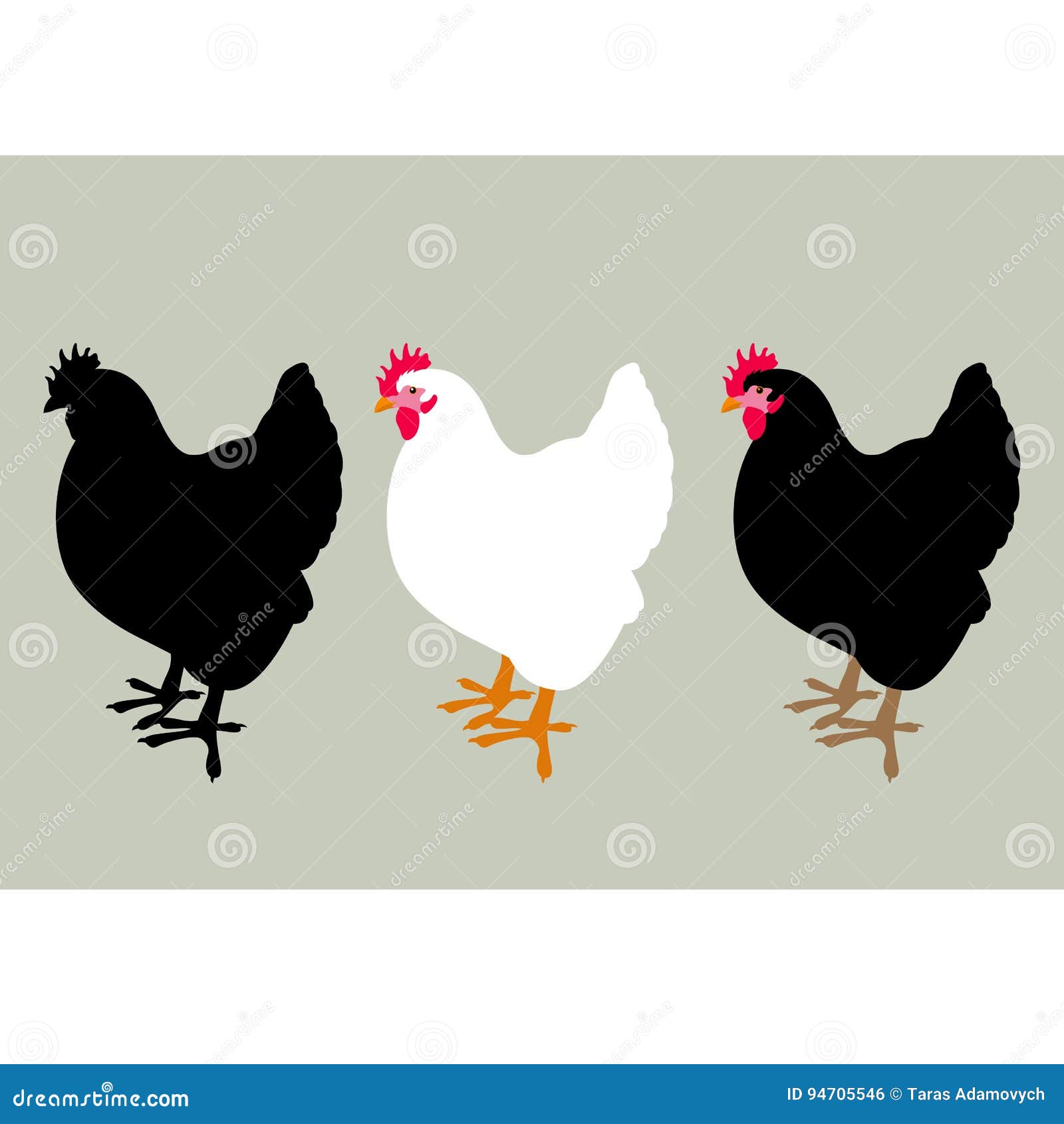 Chicken Vector Illustration Style Flat Set Stock Vector - Illustration ... Chicken Vector Illustration Style Flat Set Stock Vector - Illustration ...