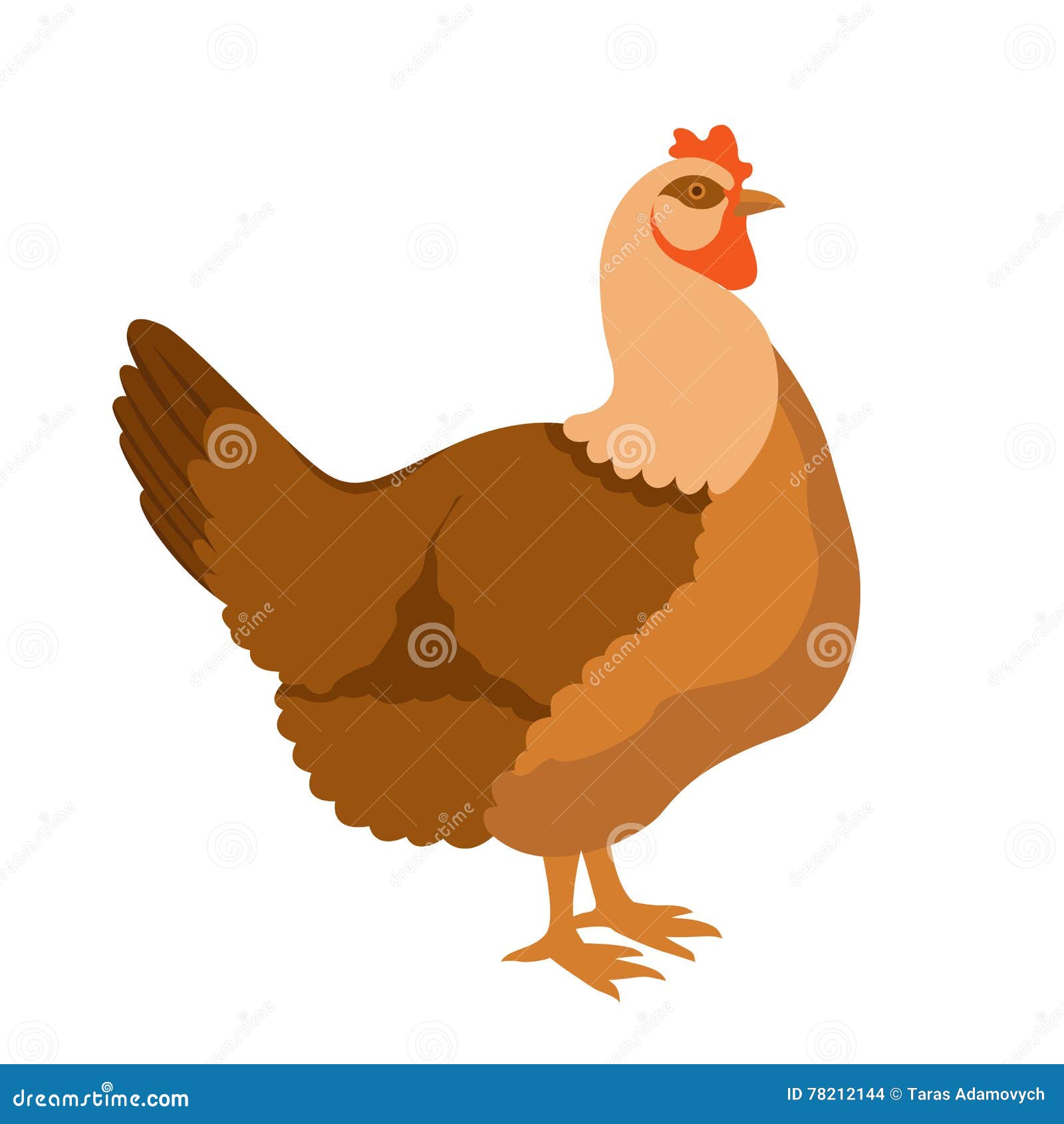 Chicken Vector Style Flat Color Profile Stock Vector - Illustration of ...