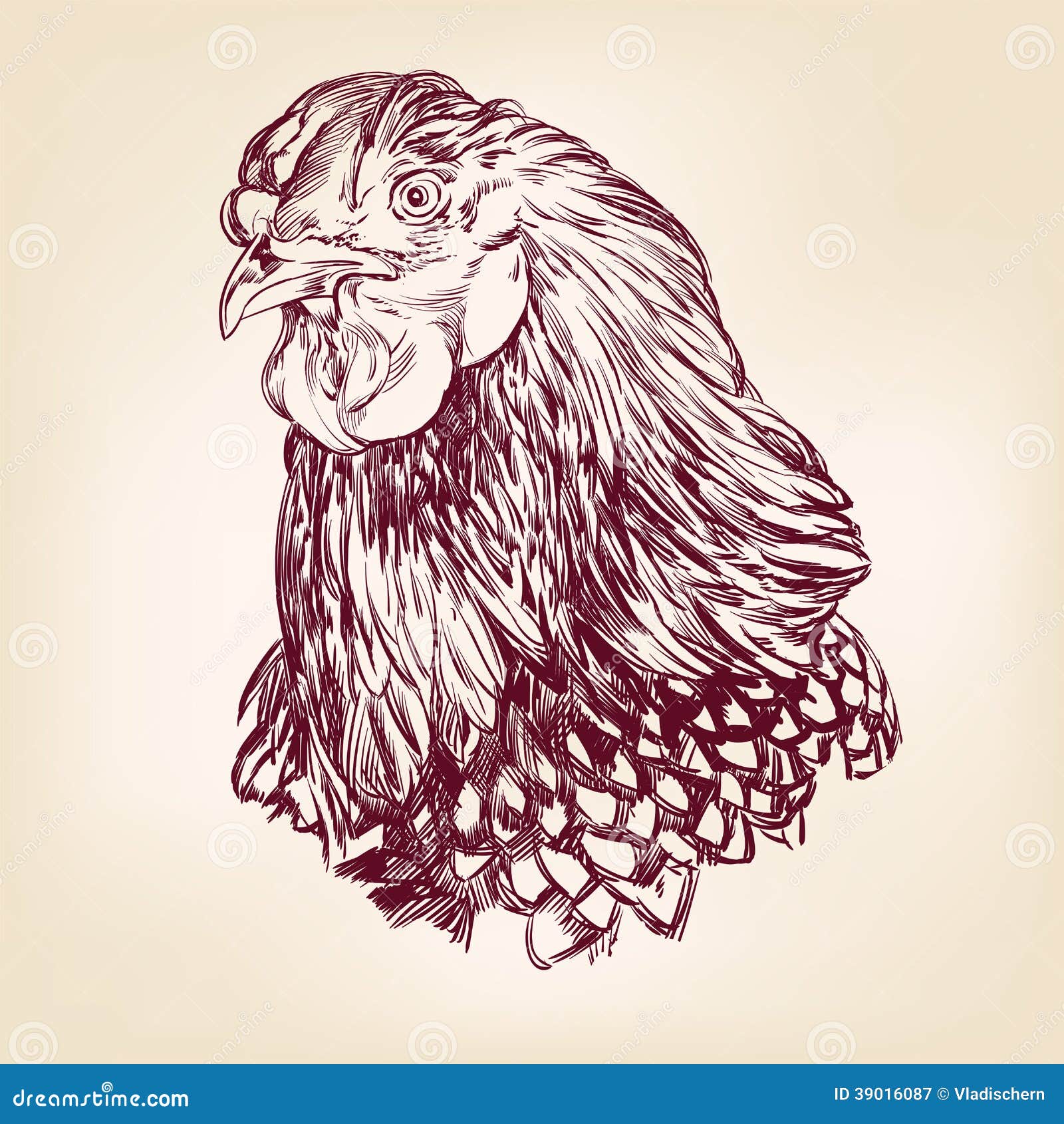 Vintage Chicken Vector