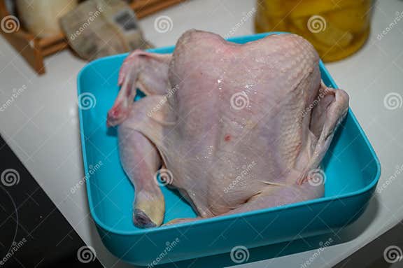 Chicken Washed before Cooking in a Tray in the Kitchen 9 Stock Photo ...