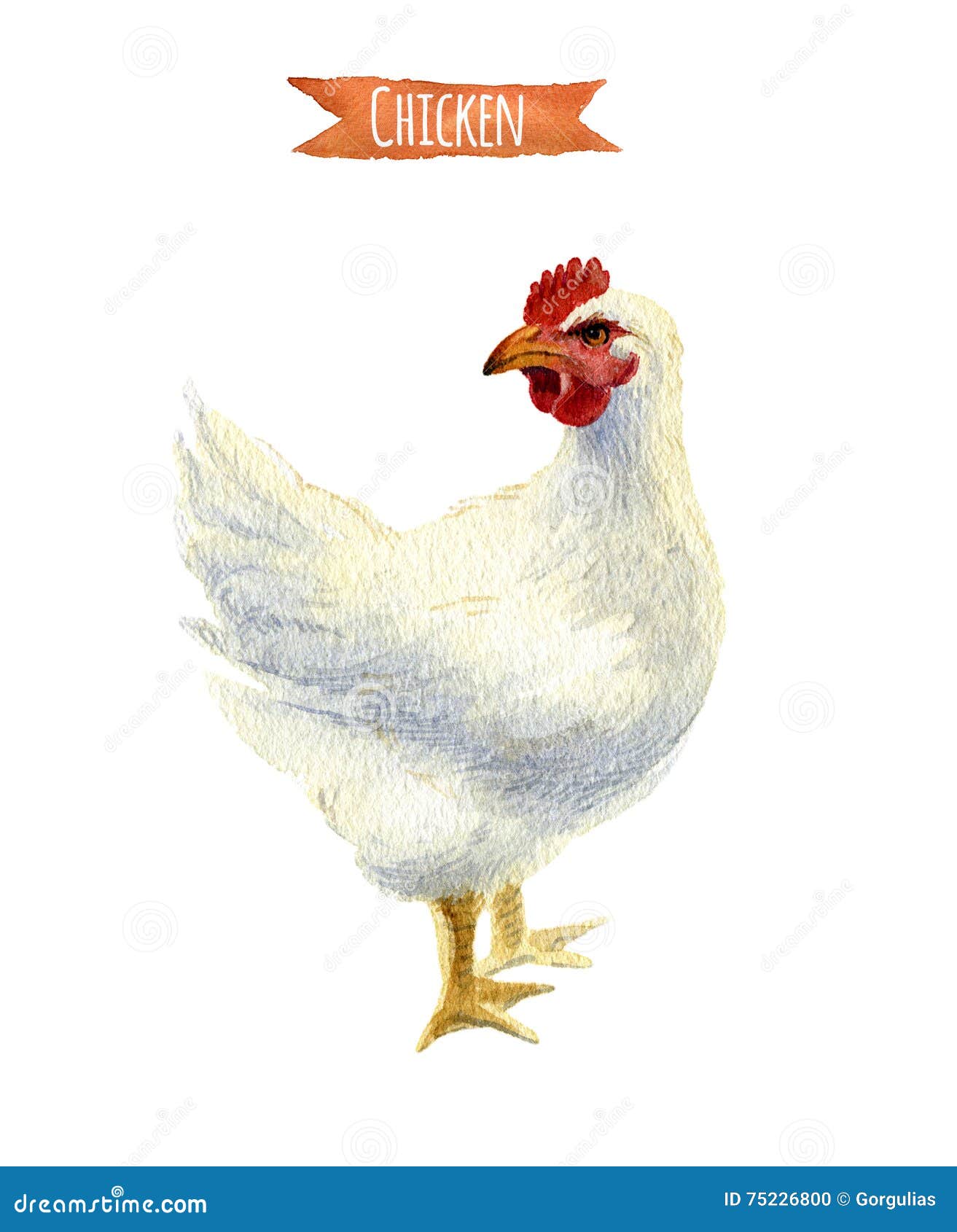 Chicken Cornish Cross Cartoon Vector Illustration | CartoonDealer.com ...