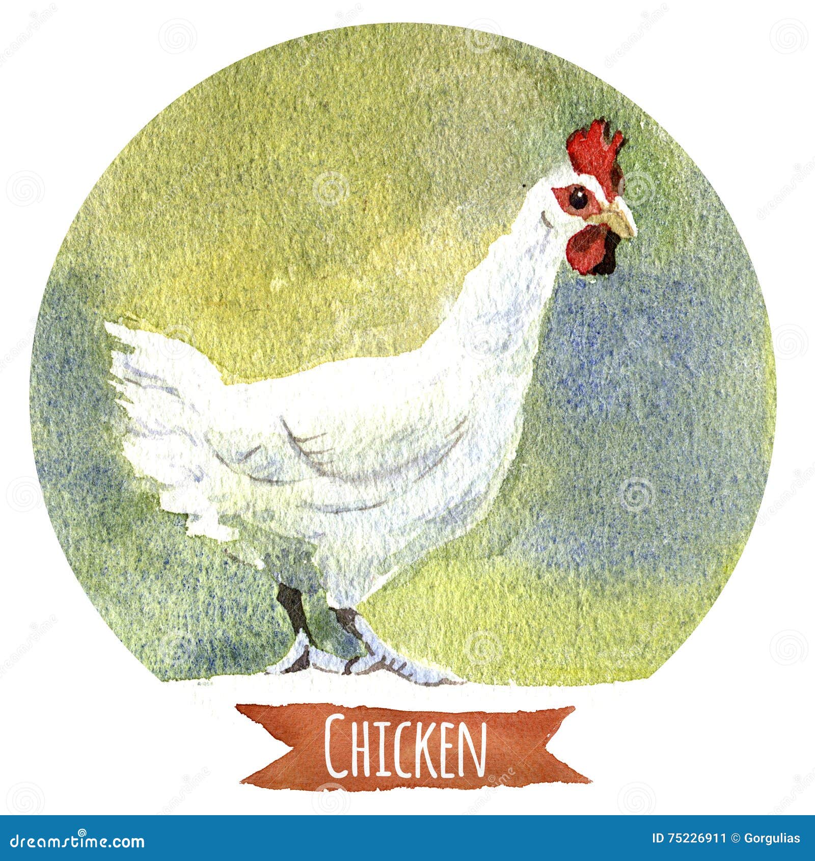 Chicken Cornish Cross Cartoon Vector Illustration | CartoonDealer.com ...