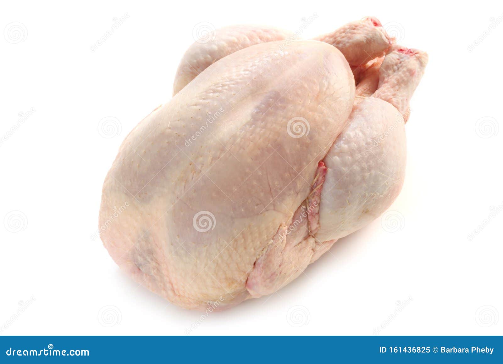 Chicken stock image. Image of chicken, diet, white, ingredient - 161436825