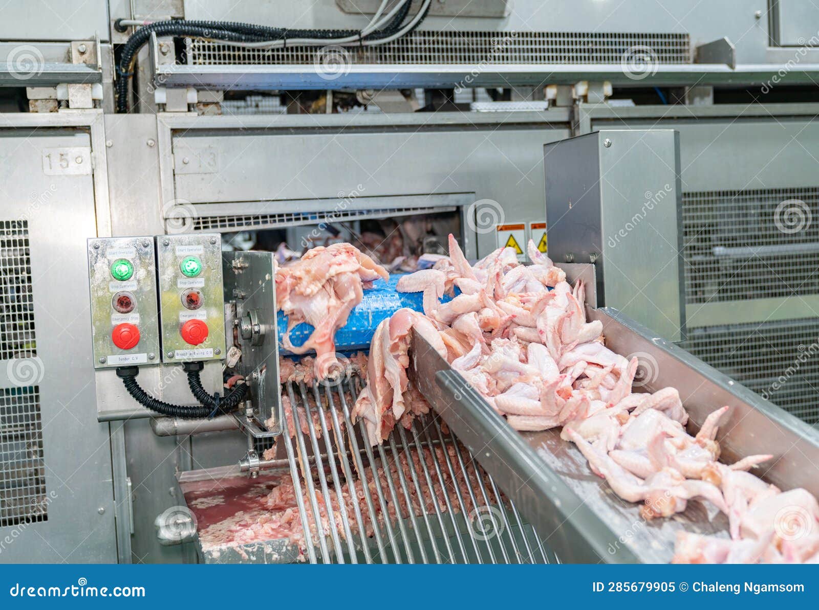Chicken Wings Load Out from Automate Cutting Machine Meat Stock Image ...