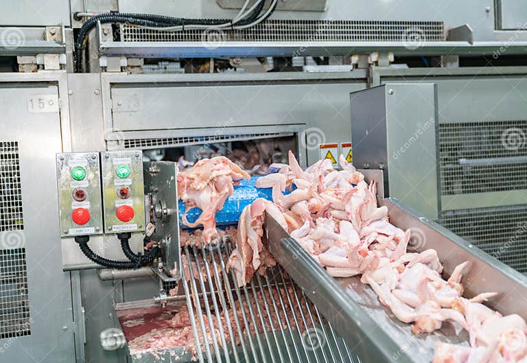 Chicken Wings Load Out from Automate Cutting Machine Meat Stock Image - Image of animal, bird ...