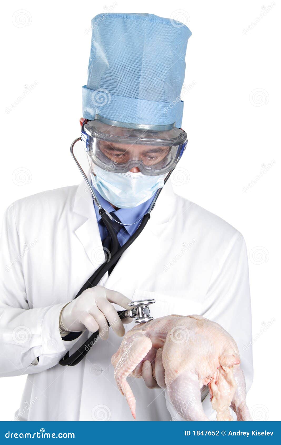 Chickenflu stock photo. Image of illness, doctor, influenza - 1847652