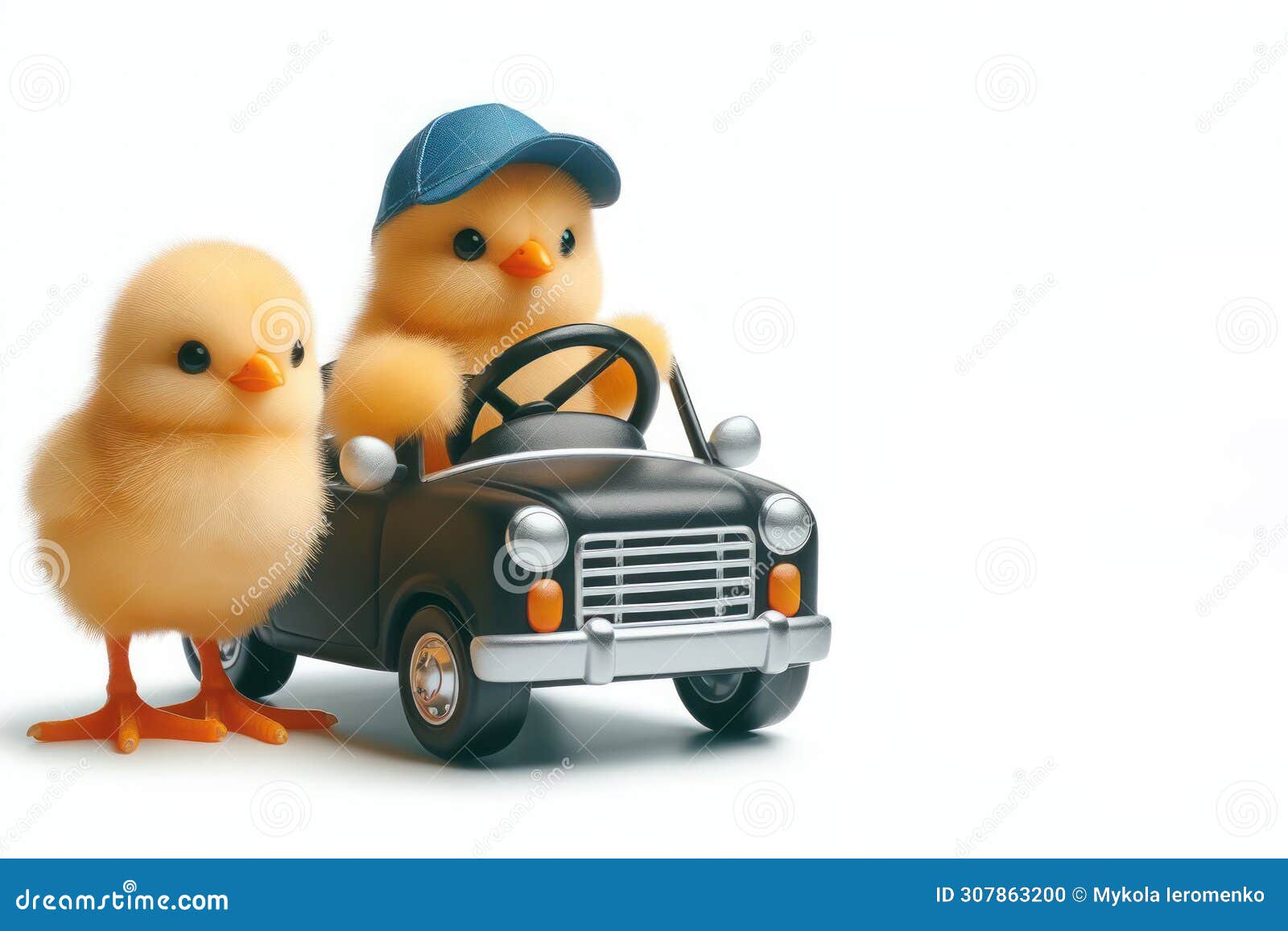 Chickens Driving a Car. Space for Text. Stock Illustration ...