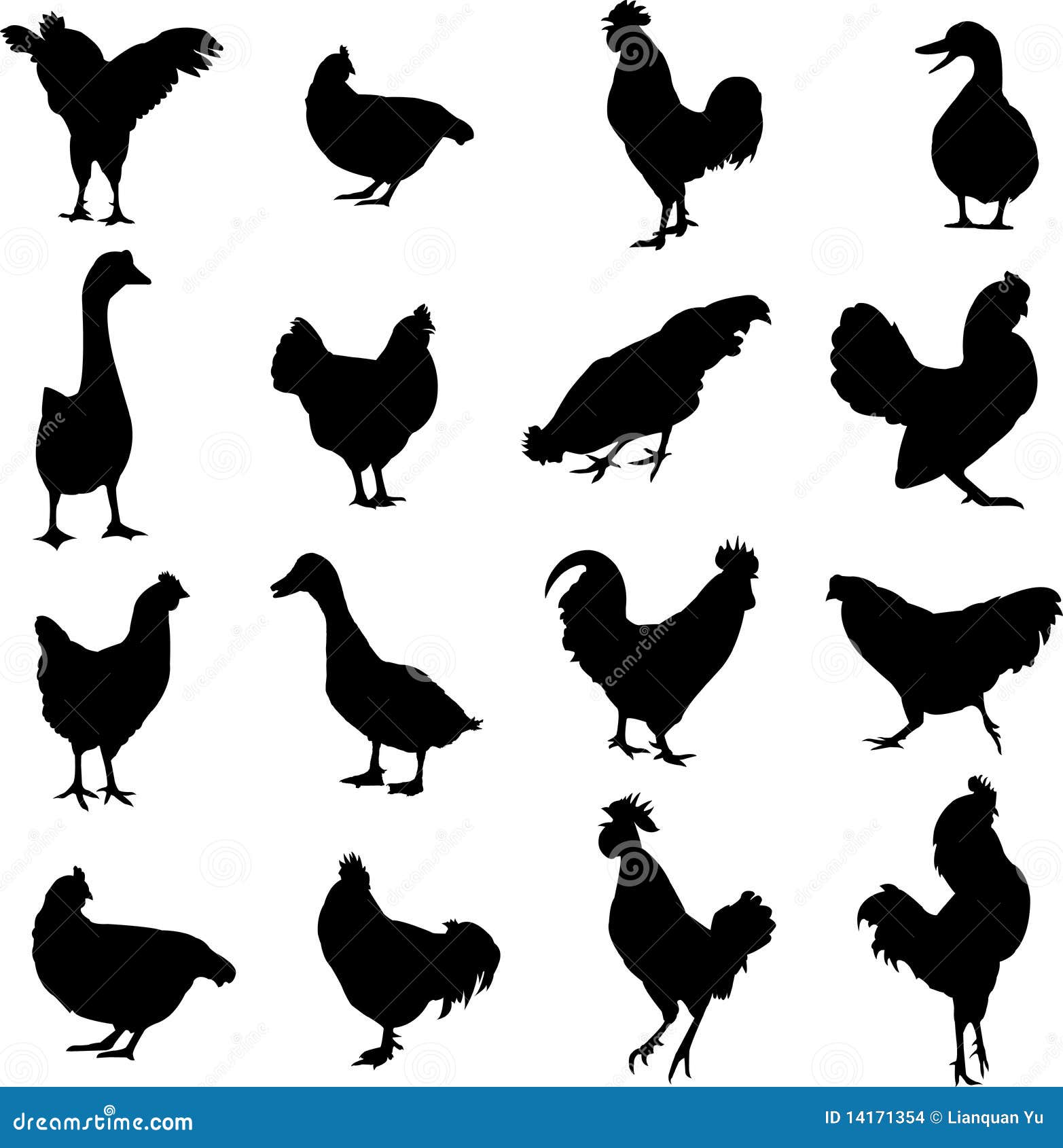 Chickens, ducks and geese stock vector. Illustration of beak - 14171354