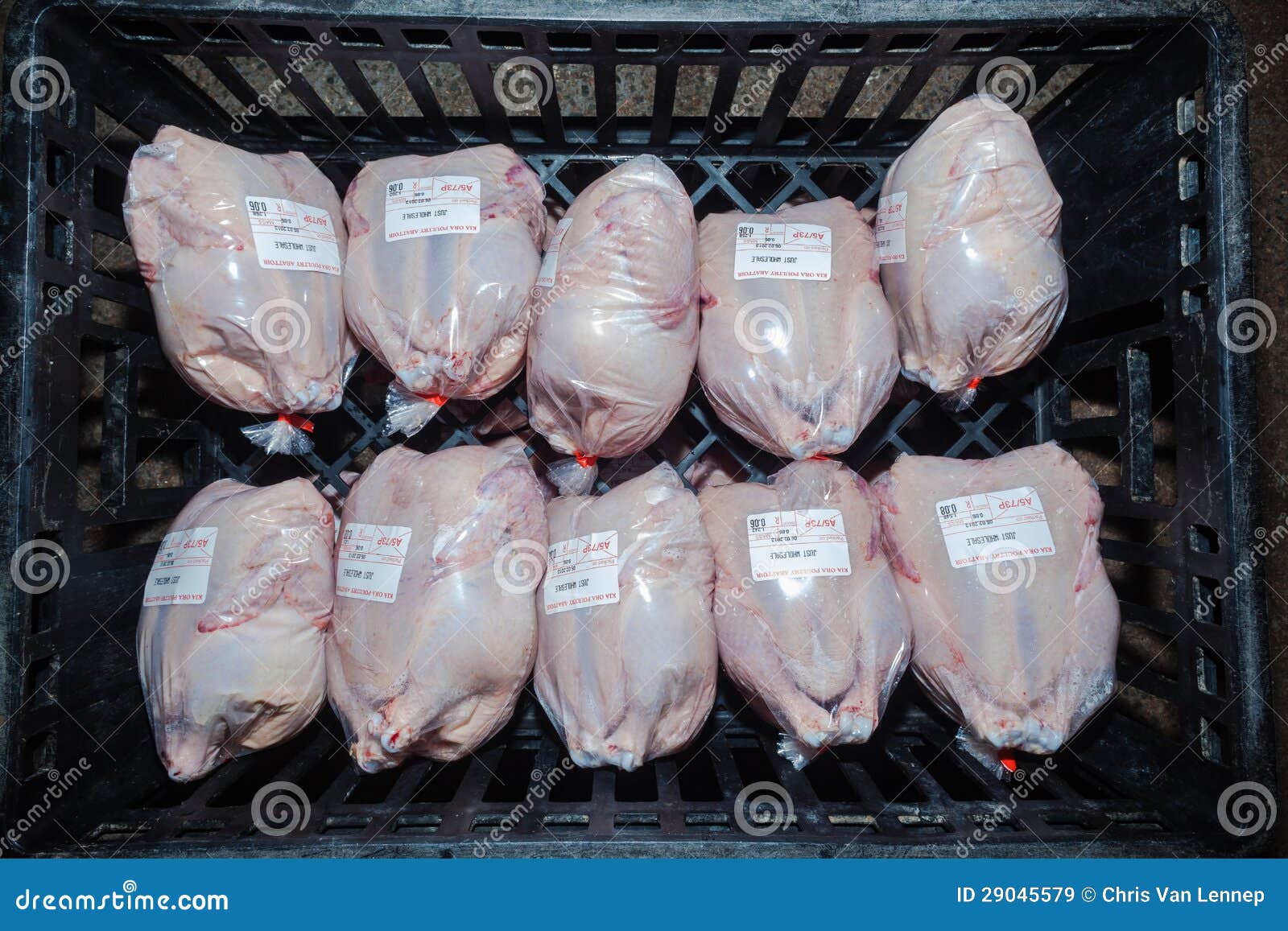 Chickens Poultry Abattoir stock image. Image of cages - 29045579