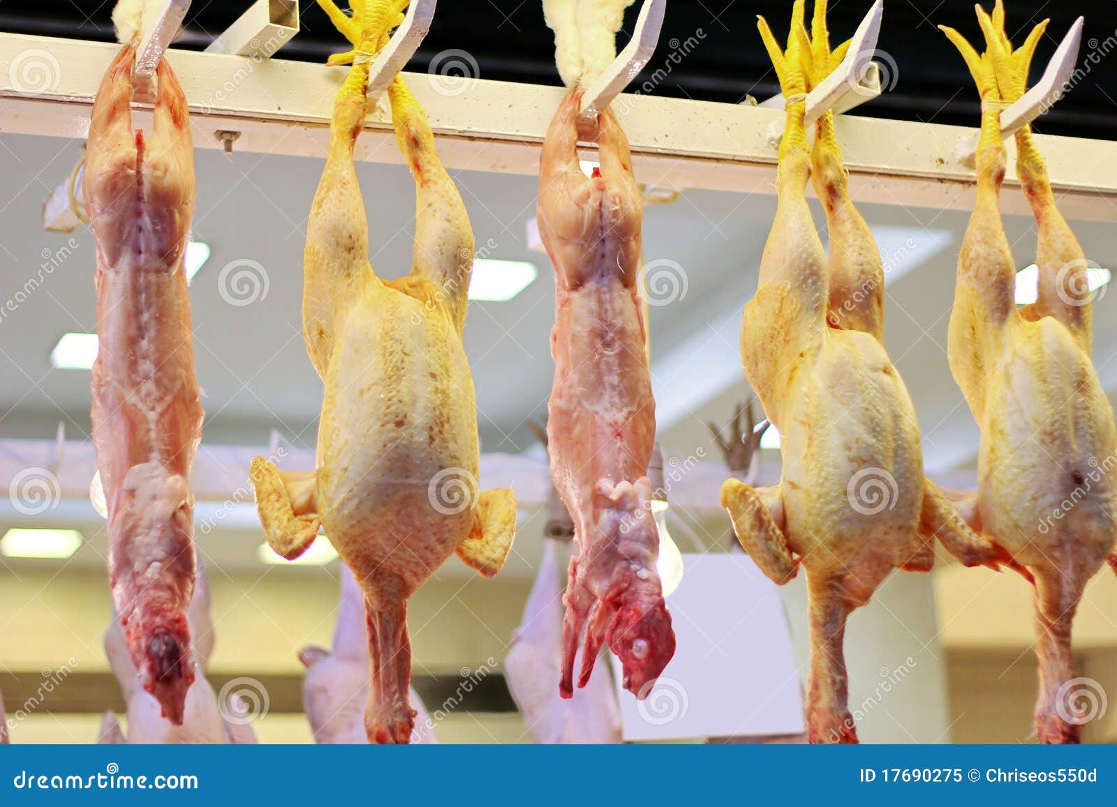 1,958 Chicken Processing Photos - Free & Royalty-Free Stock Photos from ...