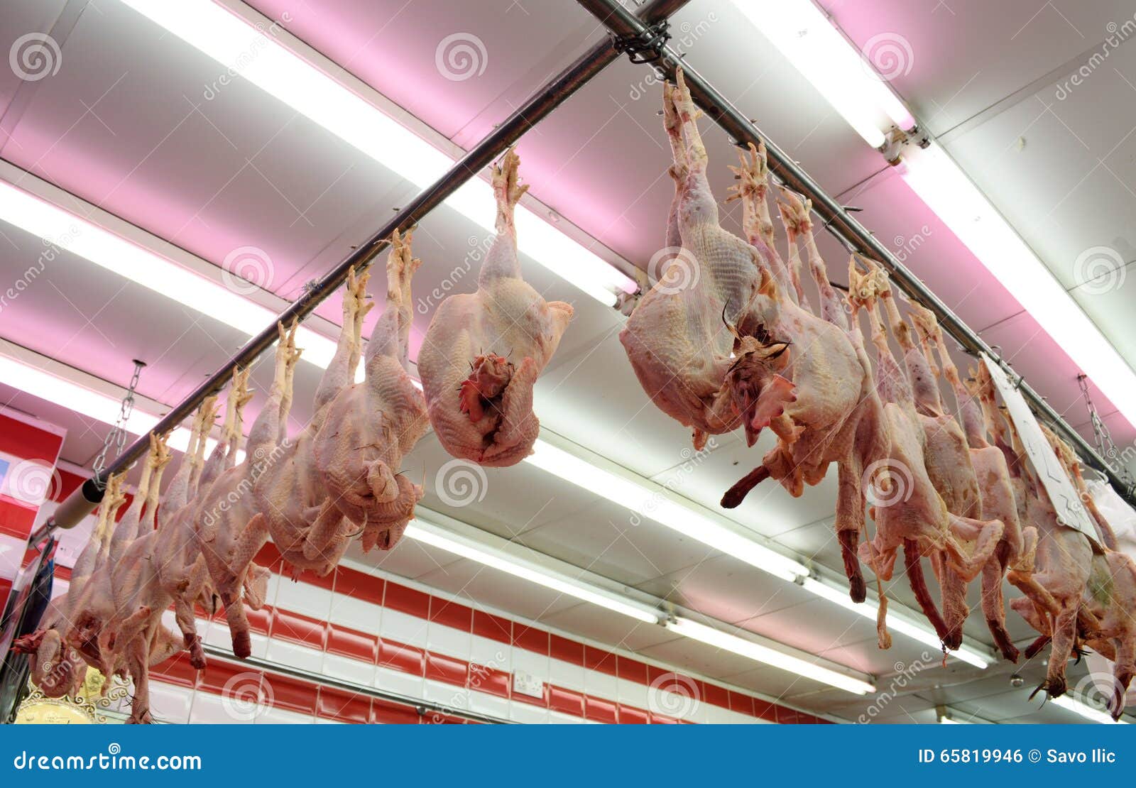 Chickens stock photo. Image of angle, butcher, trade - 65819946