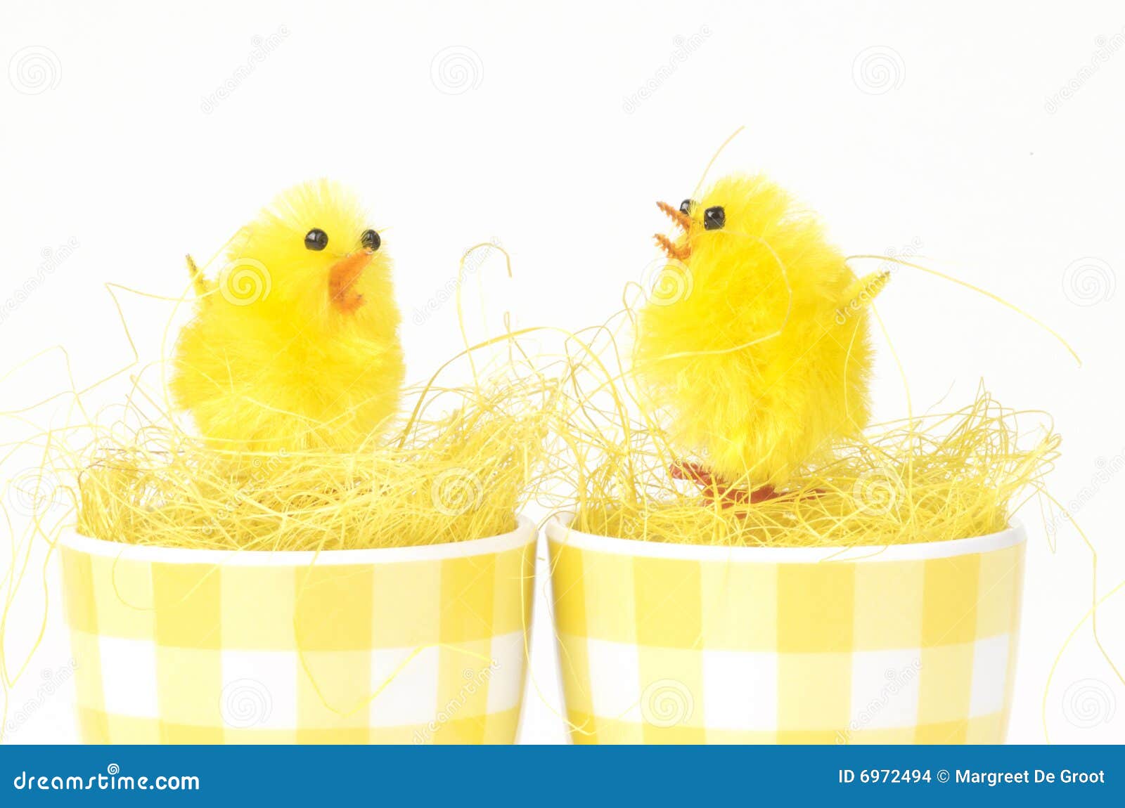 Chickens talking stock photo. Image of straw, yellow, culture - 6972494