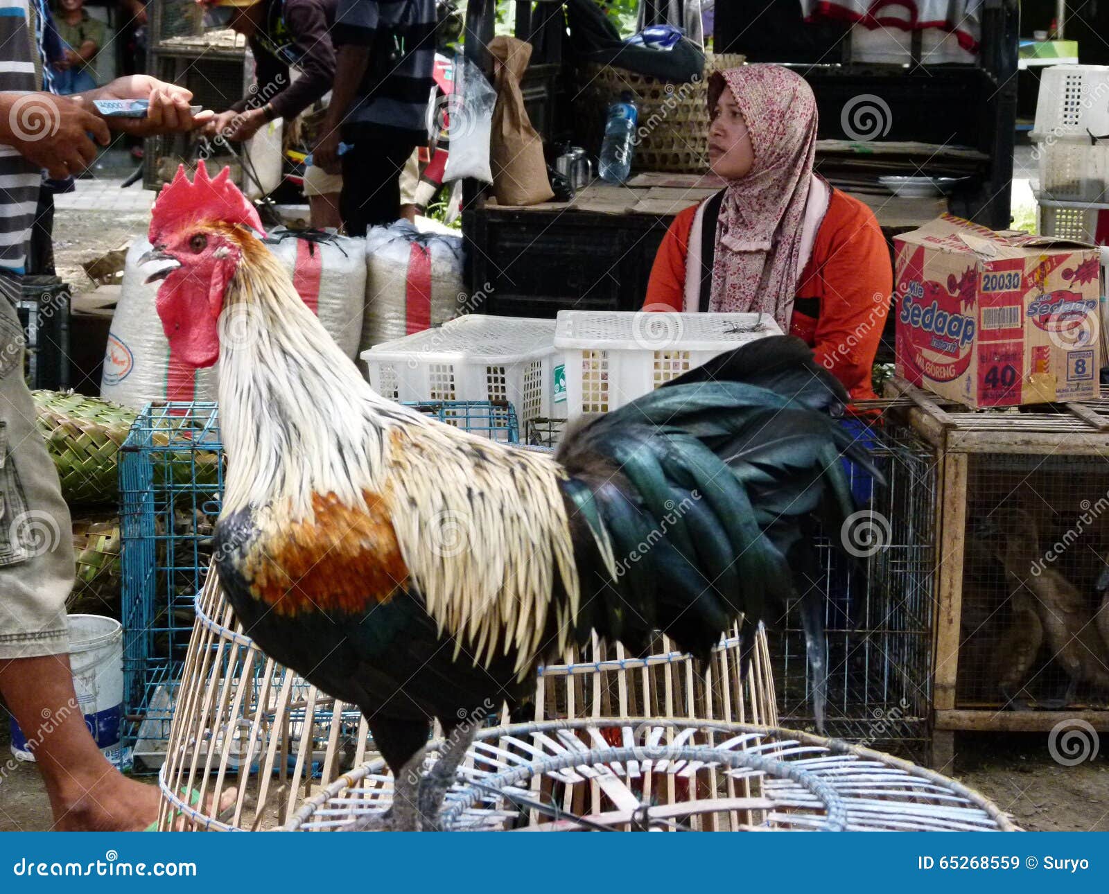 Chickens editorial stock image. Image of city, selling - 65268559