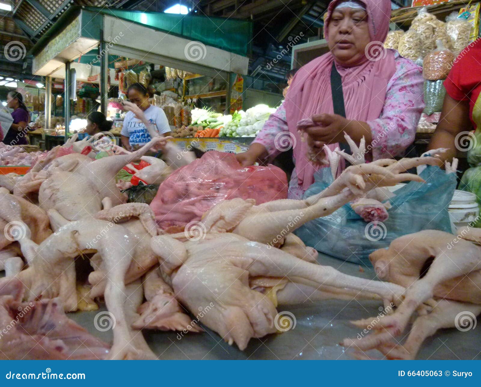 Chickens editorial stock photo. Image of food, traders - 66405063