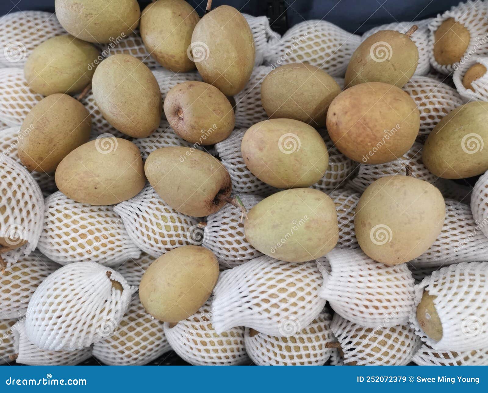 Chickoo Fruit Wraps in Styrofoam for Sale Stock Image - Image of edible ...