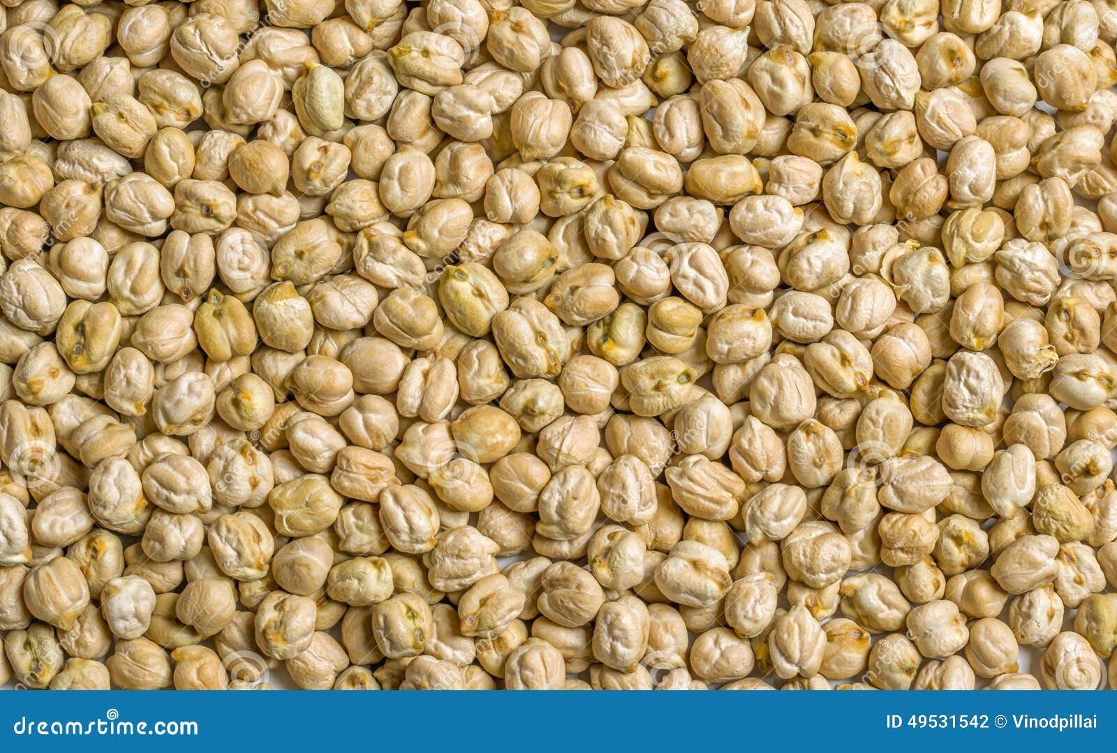 Chickpea (kabuli Chana) Background Stock Photo - Image of healthy ...