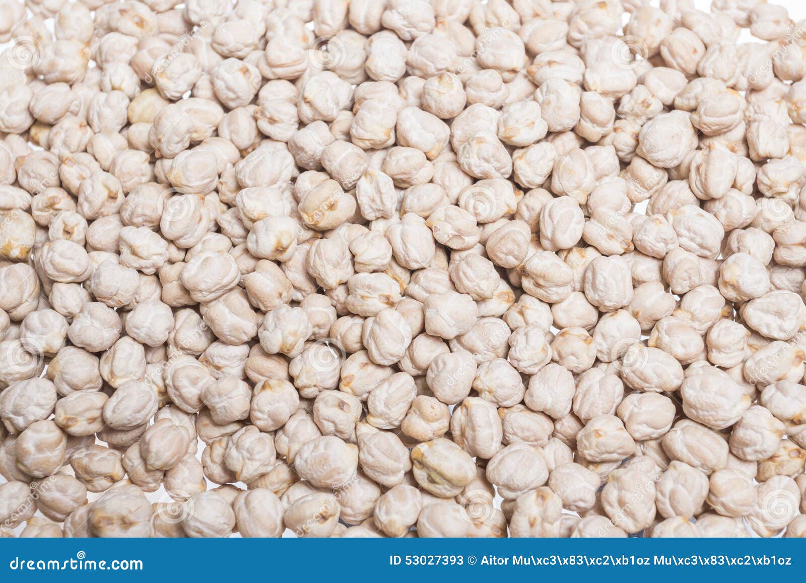Chickpea pattern stock image. Image of nutrition, legume - 53027393