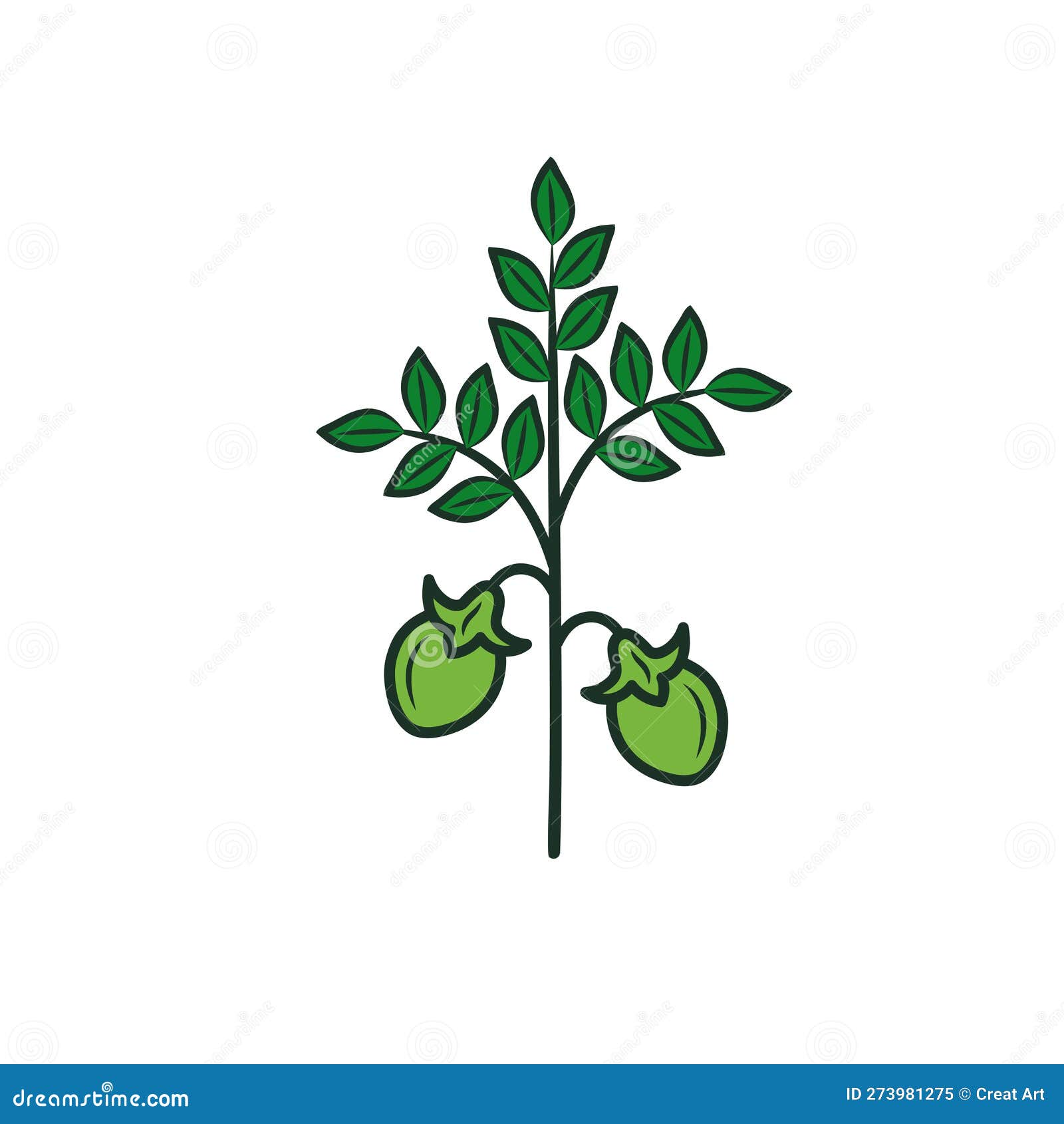 Chickpea Plant Vector Illustration Isolated On White Background ...