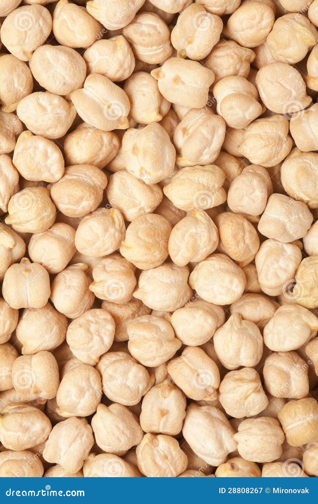 Chickpea seeds background stock image. Image of organic - 28808267