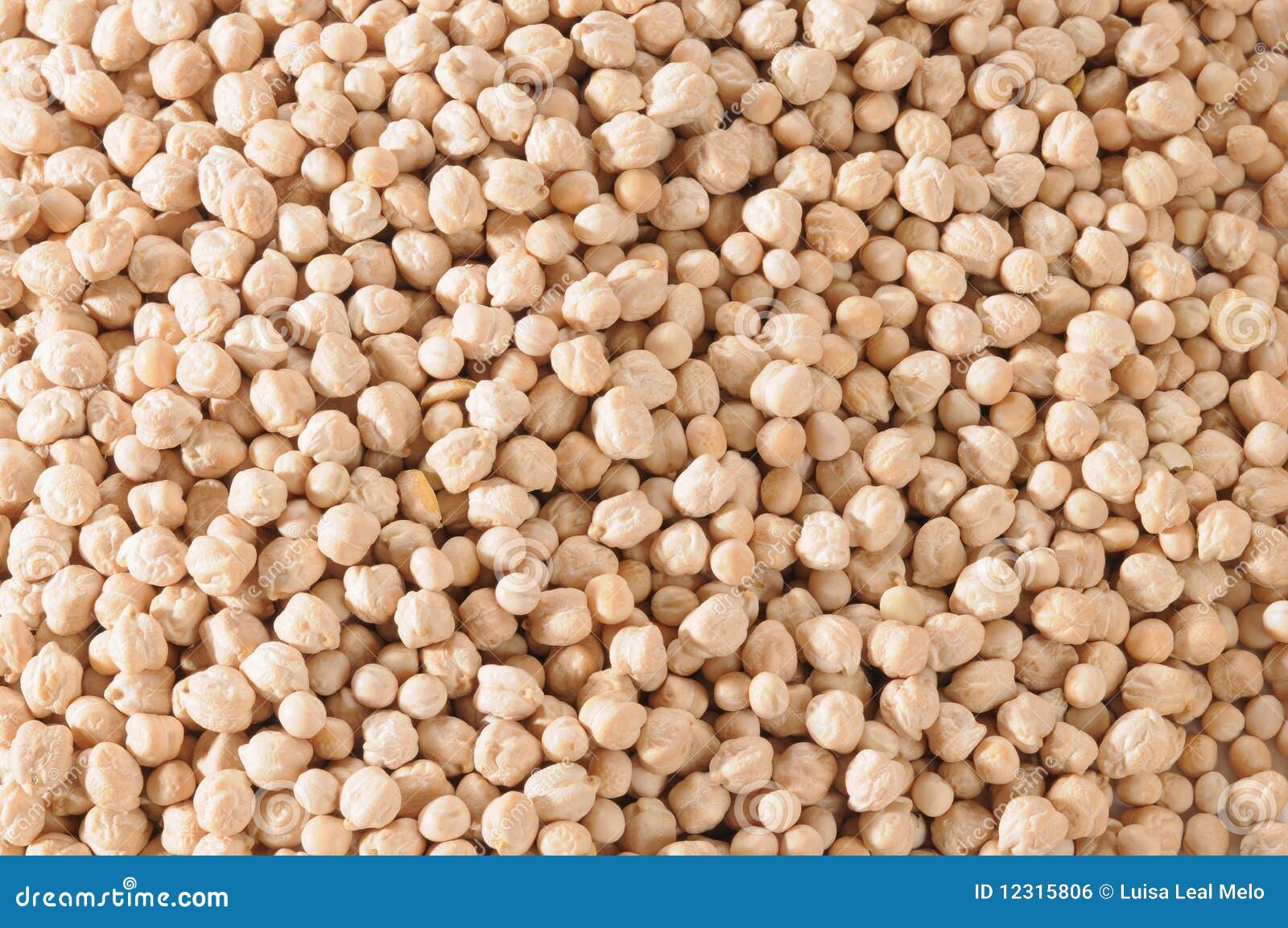 Chickpeas stock photo. Image of dried, macro, color, chickpea - 12315806