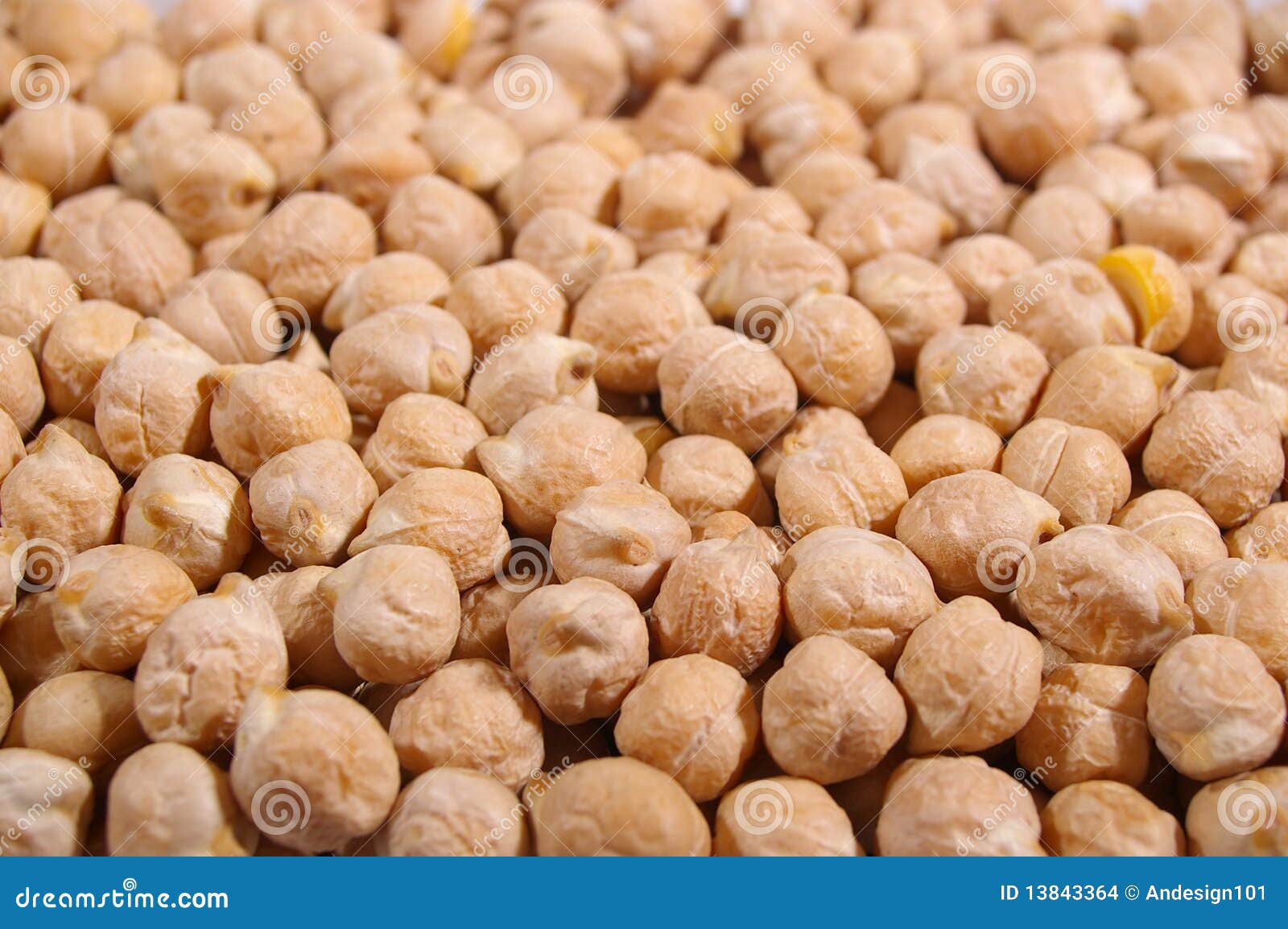 Chickpeas stock photo. Image of legume, dried, fruit - 13843364