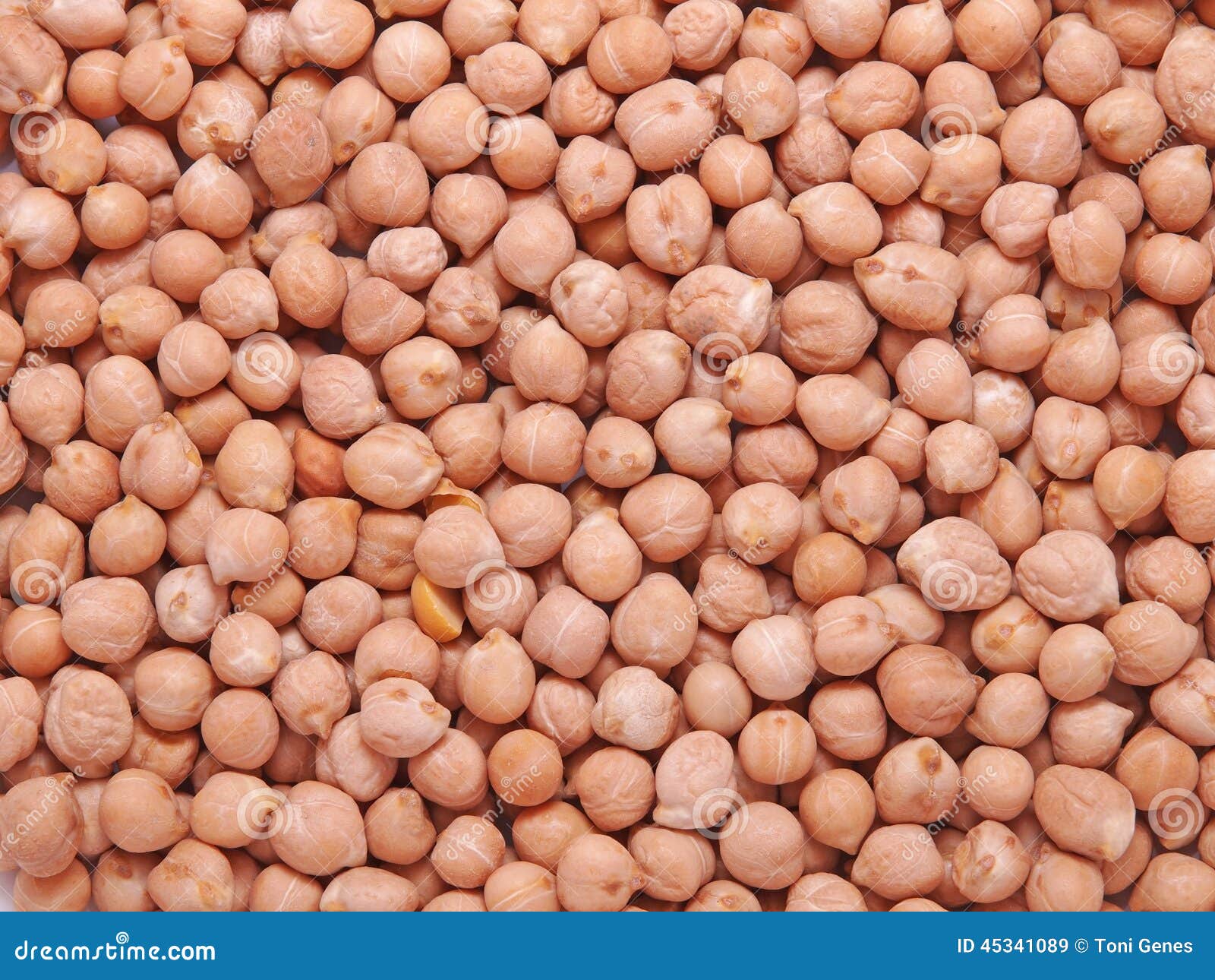 Chickpeas stock image. Image of vegetable, close, grain - 45341089