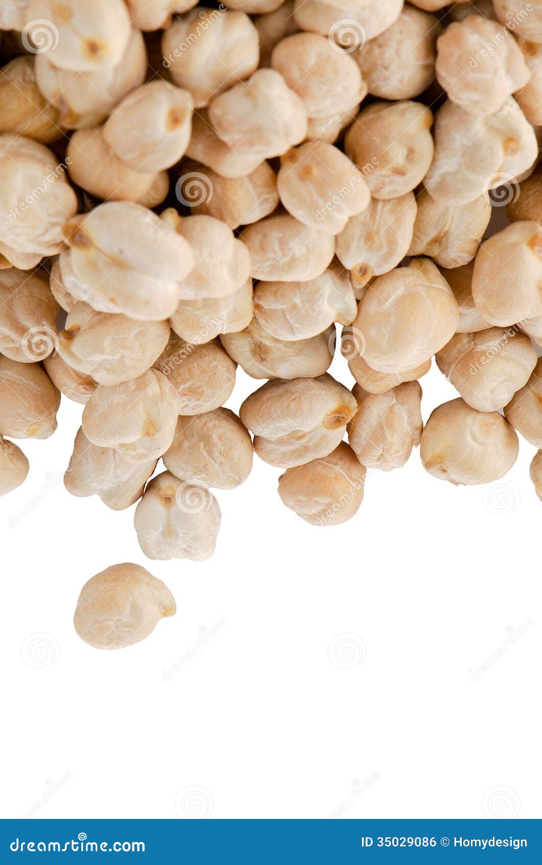 Chickpeas stock photo. Image of cicer, isolated, food - 35029086