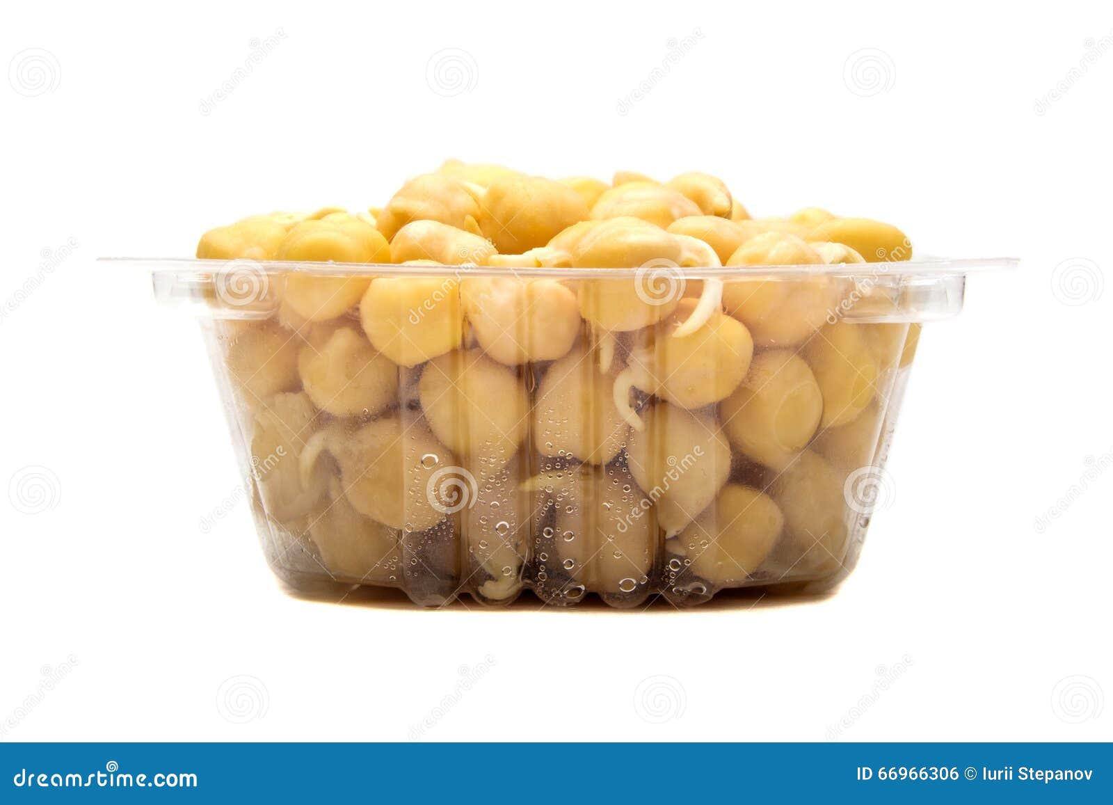 Chickpeas in a plastic box stock photo. Image of full - 66966306