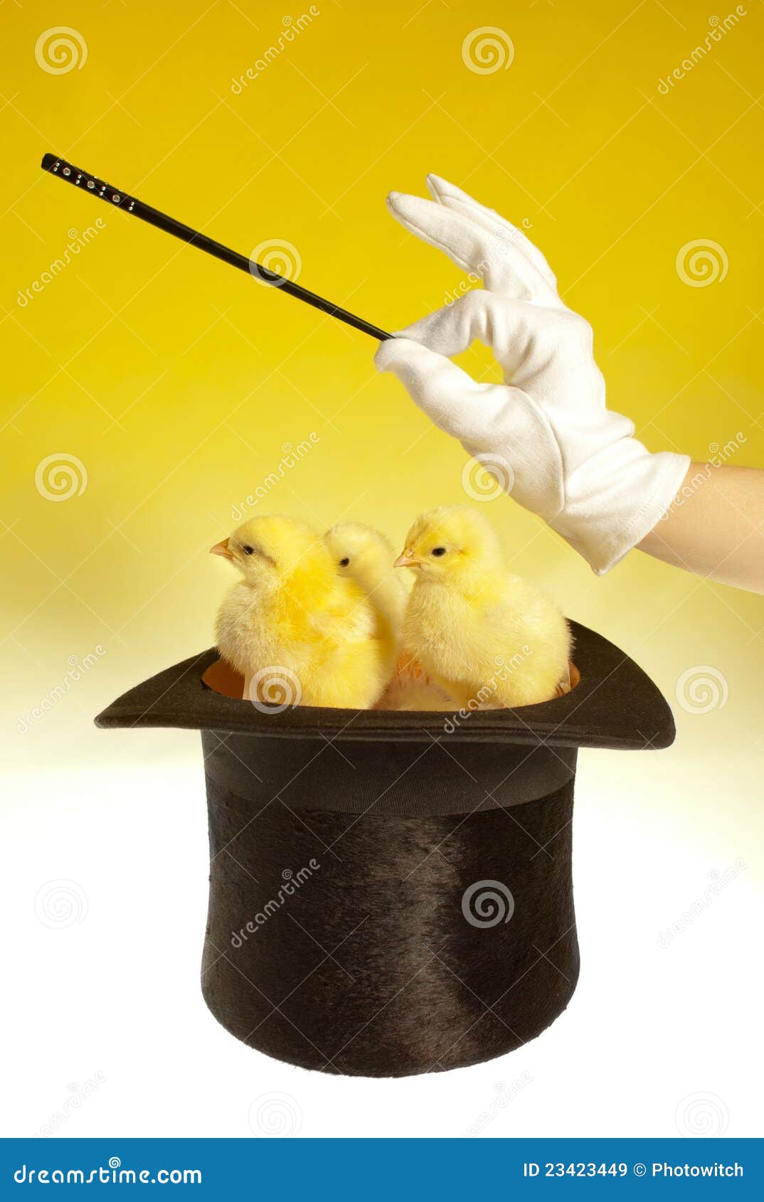 Chicks and magic wand stock image. Image of entertainment - 23423449