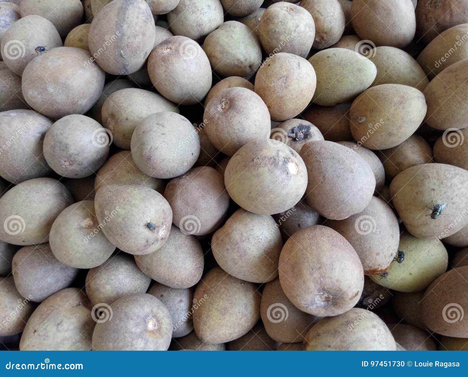 Chico Fruit Stock Photos - Royalty Free Pictures